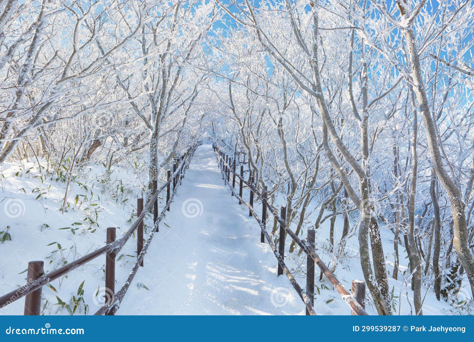 Winter Mountain Snowflake Tracking Stock Image - Image of frost ...