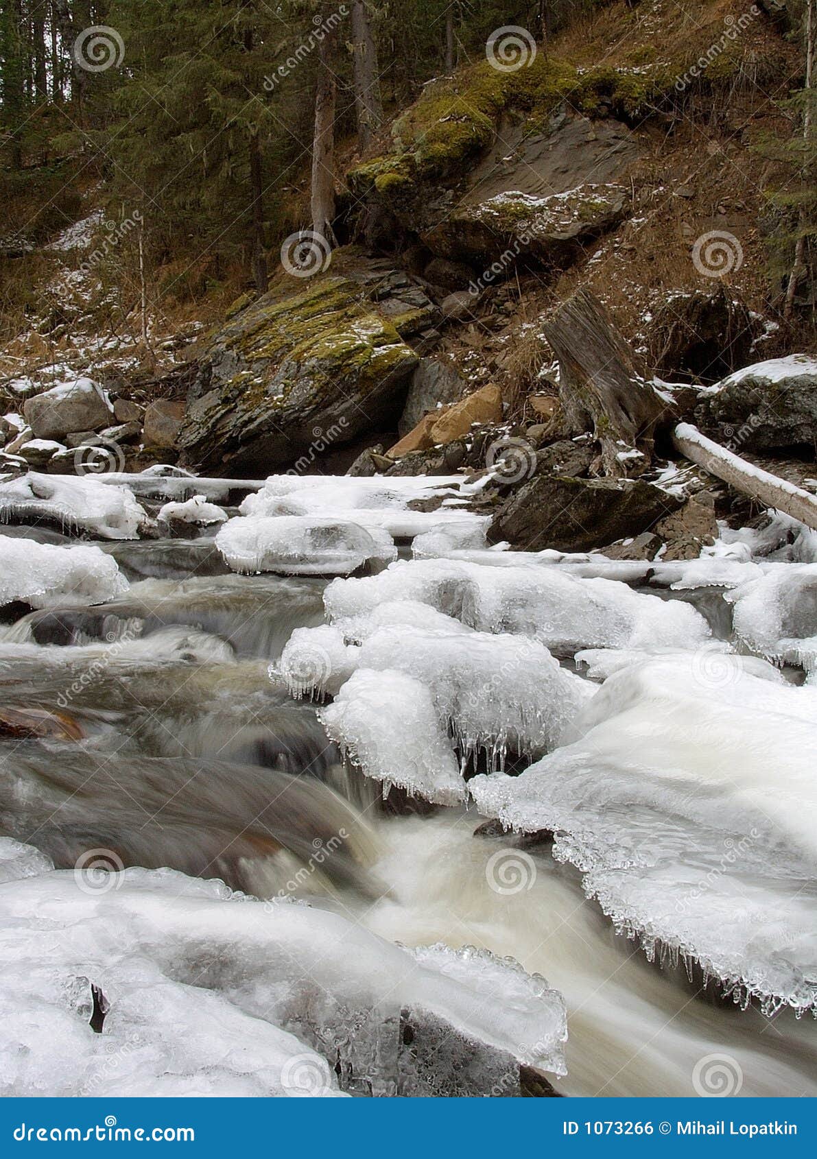 Winter mountain stream stock photo. Image of cold, trees - 1073266