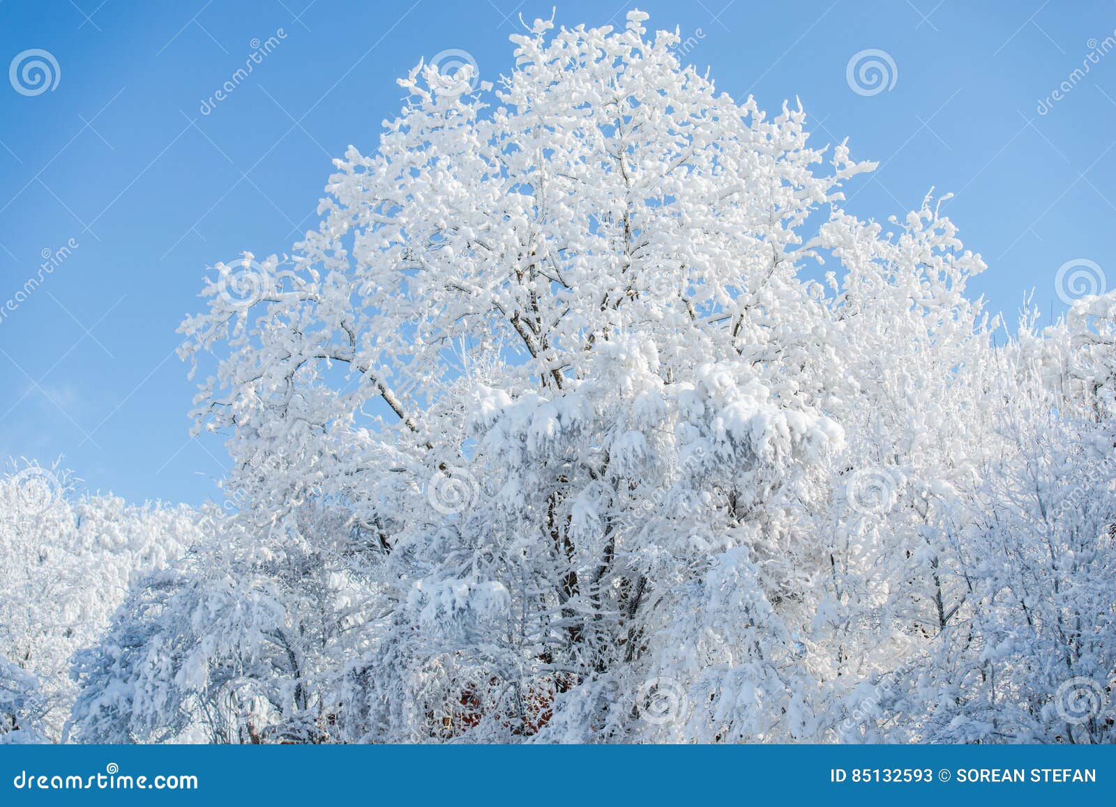 Winter in the mountains stock image. Image of frozen - 85132593