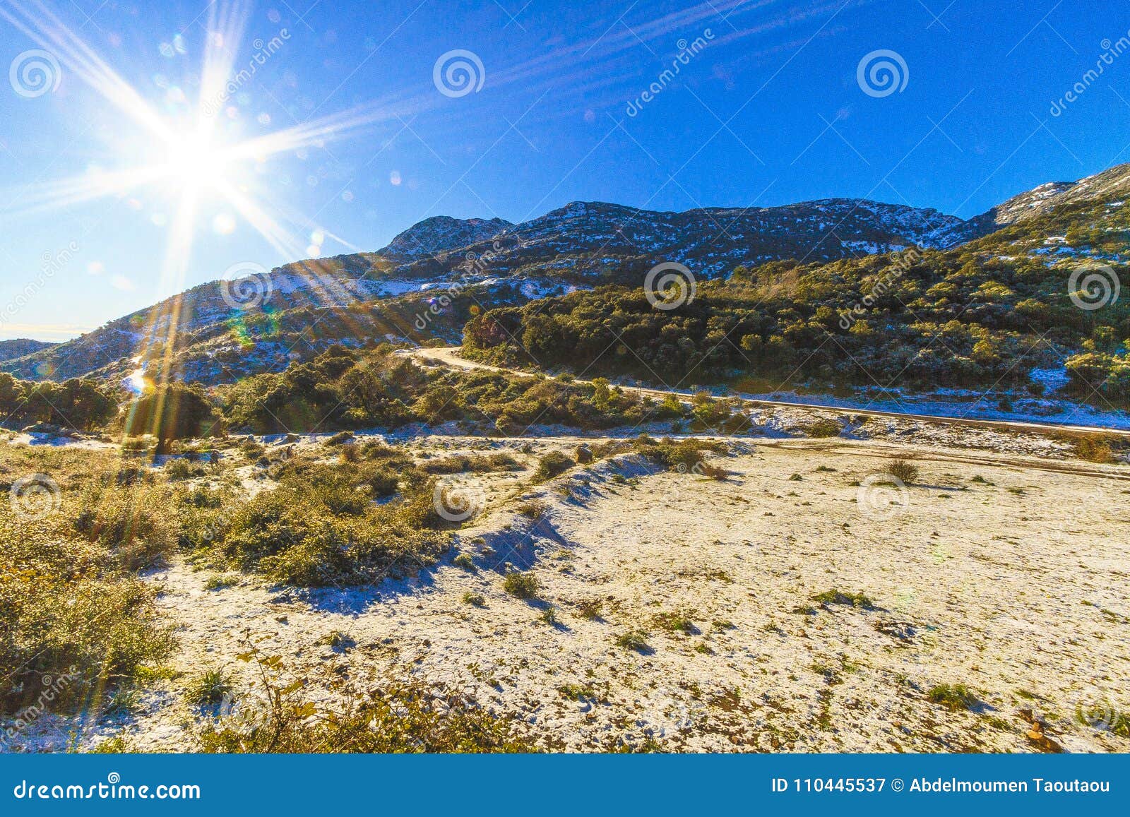 Chrea stock image. Image of forest, courage, high, adventure - 110445537