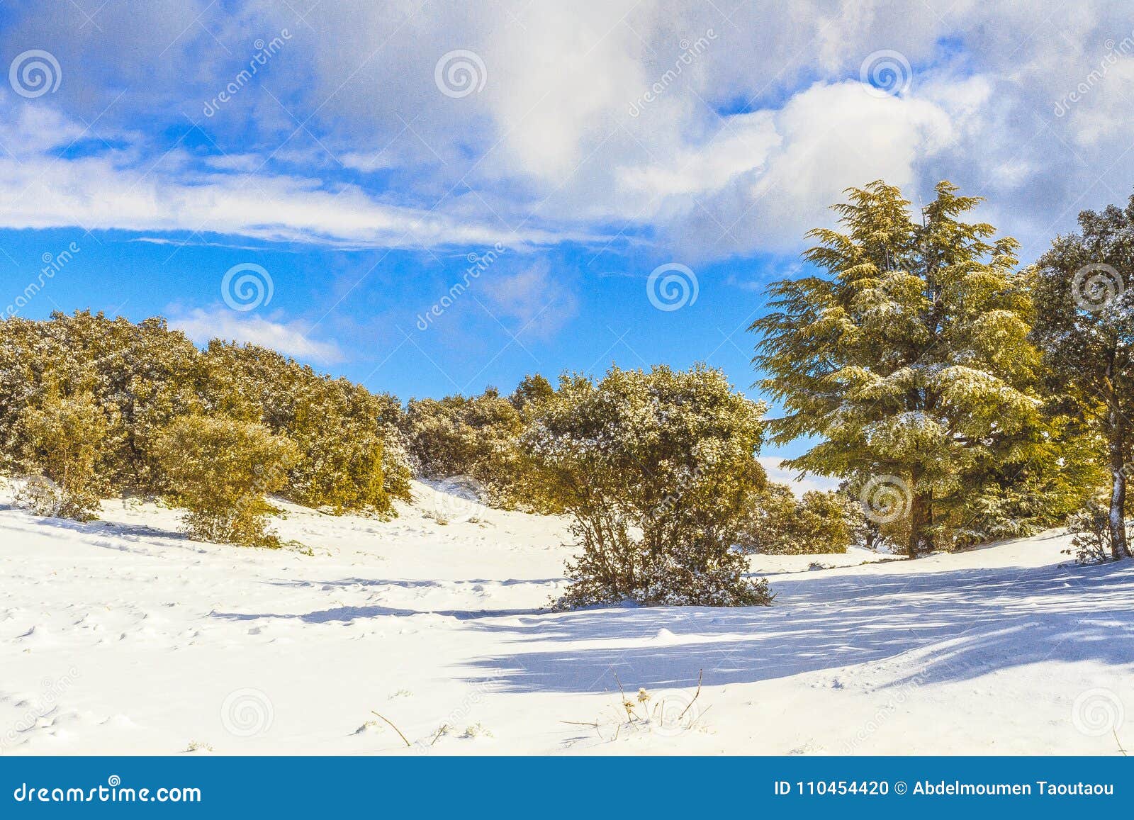 Chrea stock photo. Image of cedrus, landscape, happiness - 110454420