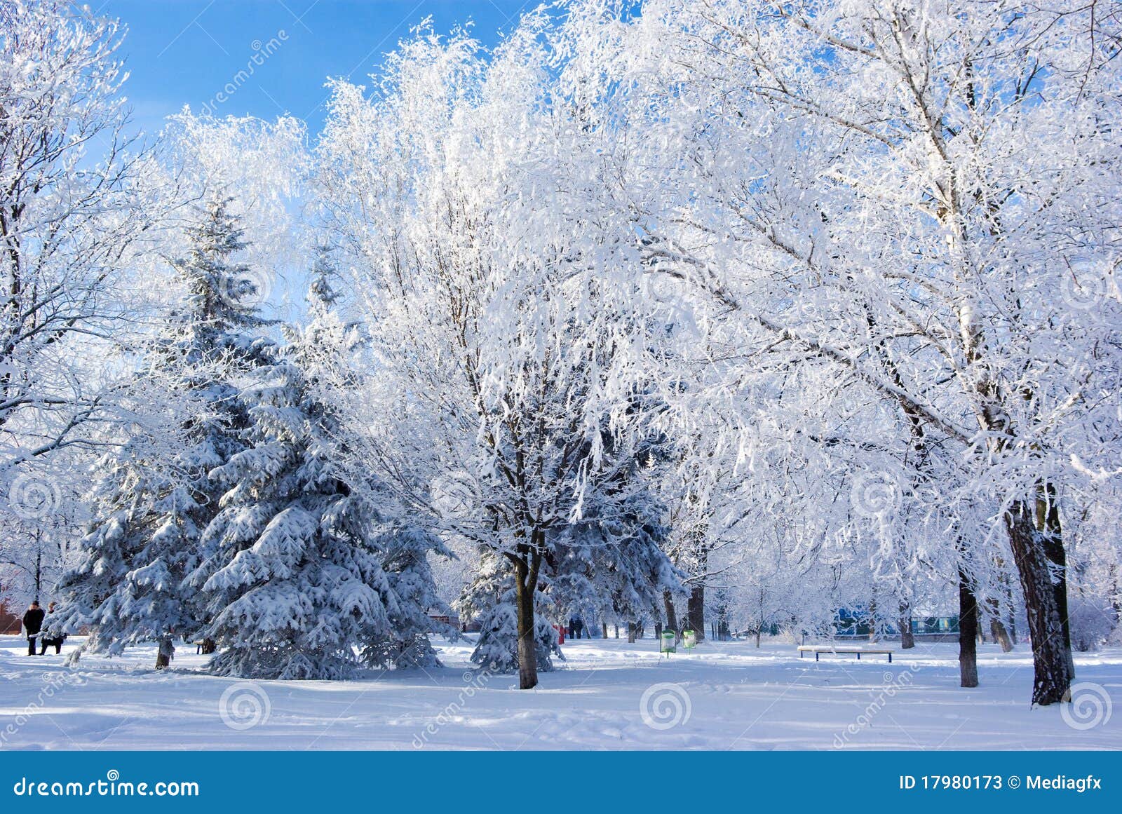 Winter Nature Landscape. Blue Sky, Brown Trees And Lake Or River ...