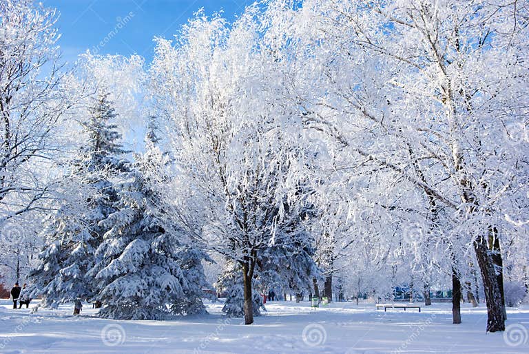 Winter nature stock image. Image of cold, blue, shadow - 17980173