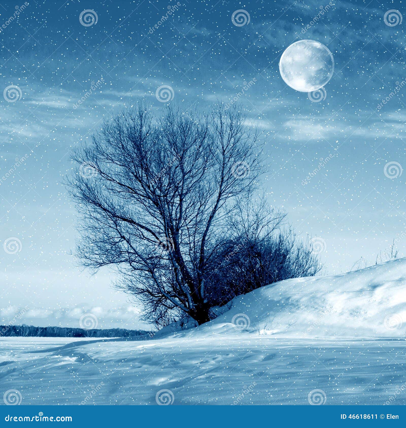 Winter Nature, Moon and Tree Stock Image - Image of snow, scenery: 46618611