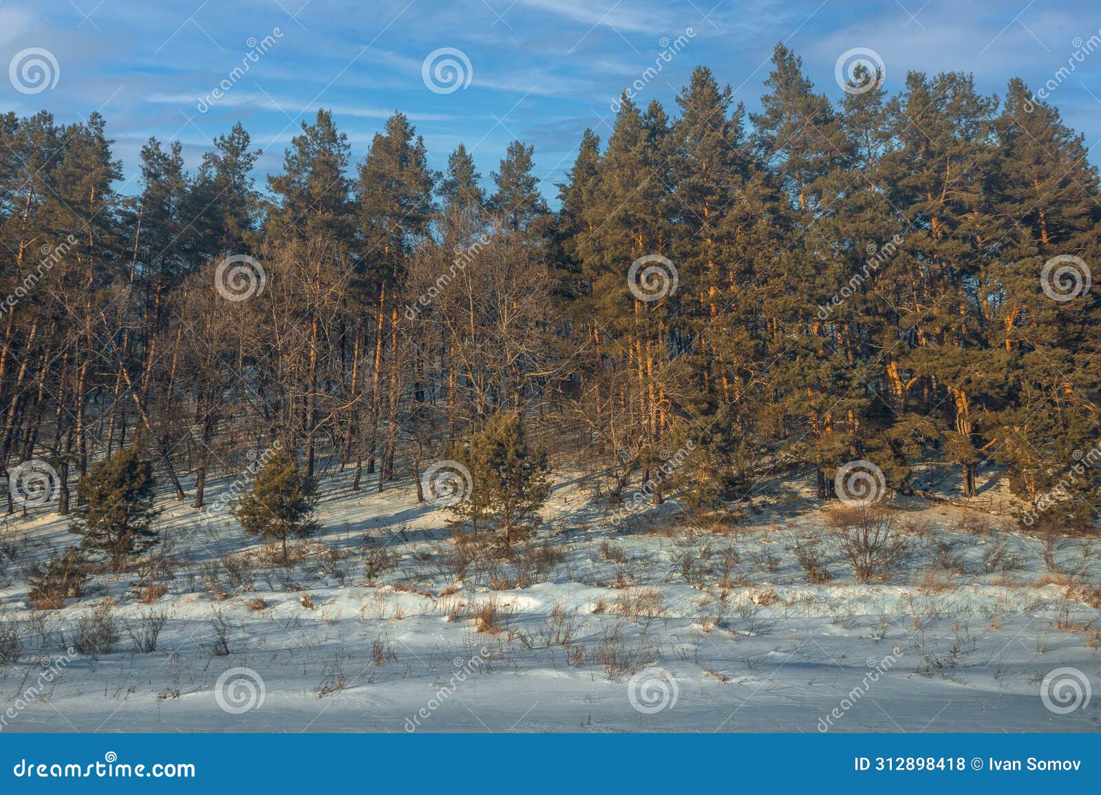 Winter Nature in the Russian Countryside Stock Photo - Image of ...