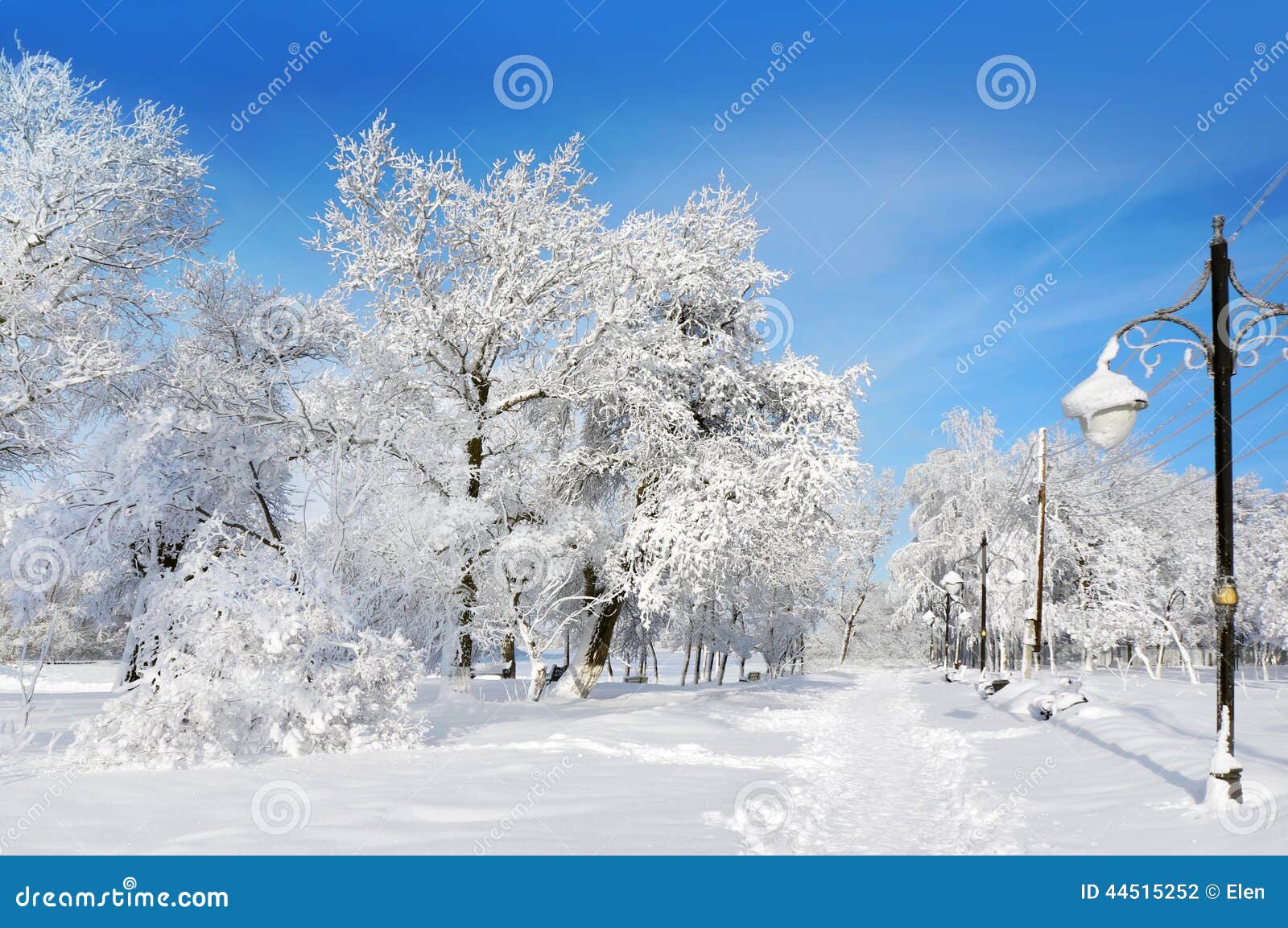 Winter nature stock photo. Image of pacific, hsnow, beauty - 44515252