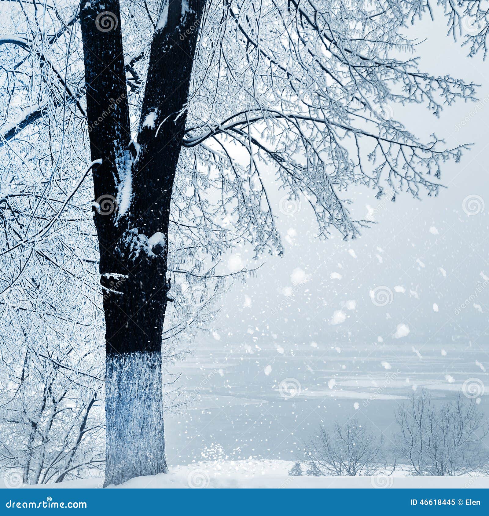 Winter nature, snow fall stock image. Image of calendar - 46618445