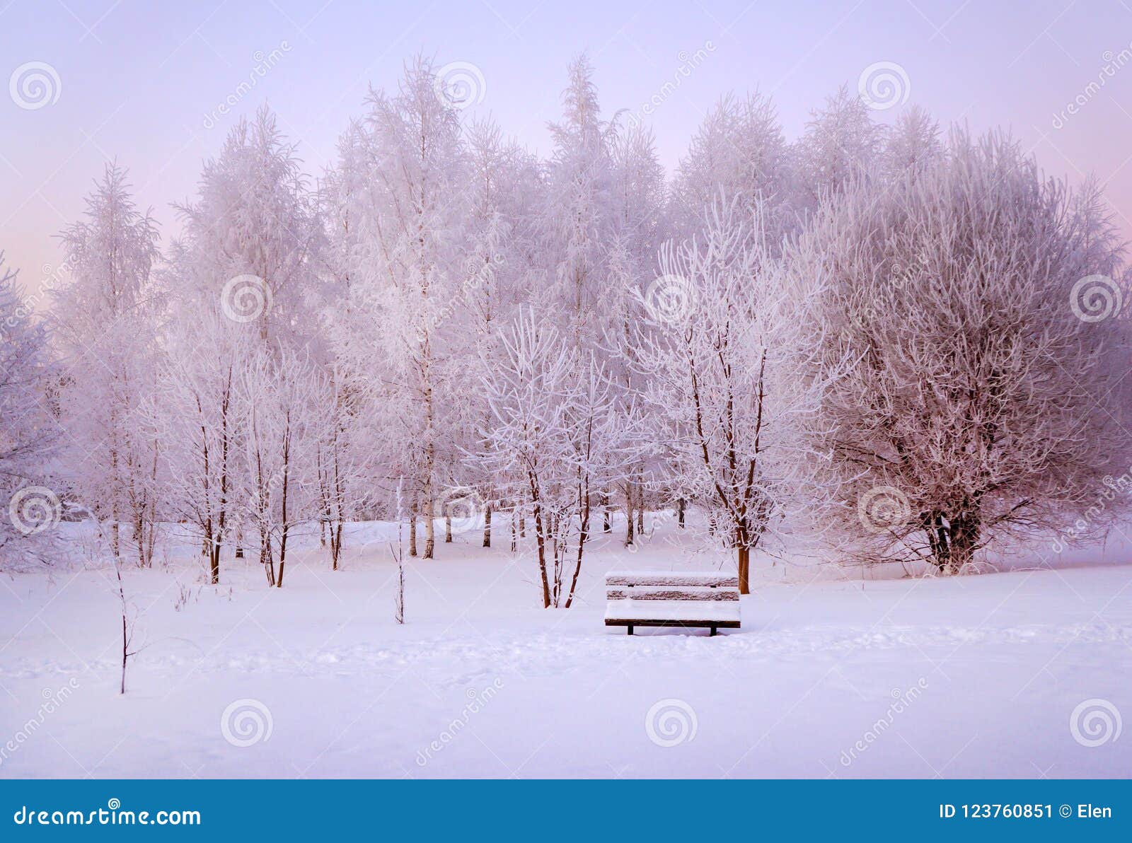 Winter Nature, Snow and Snowy Trees Stock Image - Image of fine, forest ...