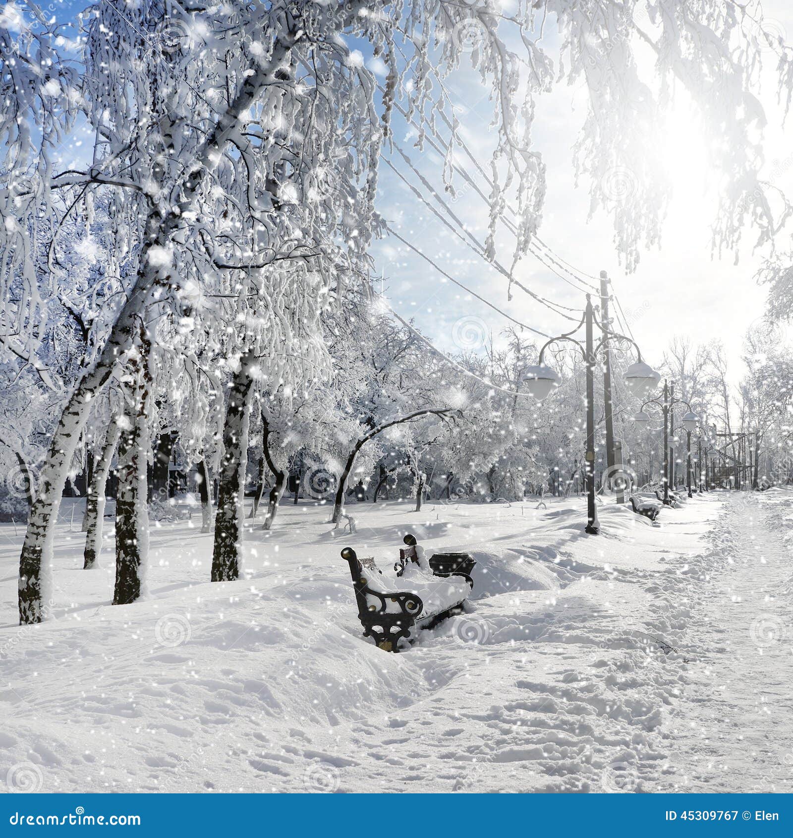 Winter nature, snowstorm stock image. Image of travel - 45309767