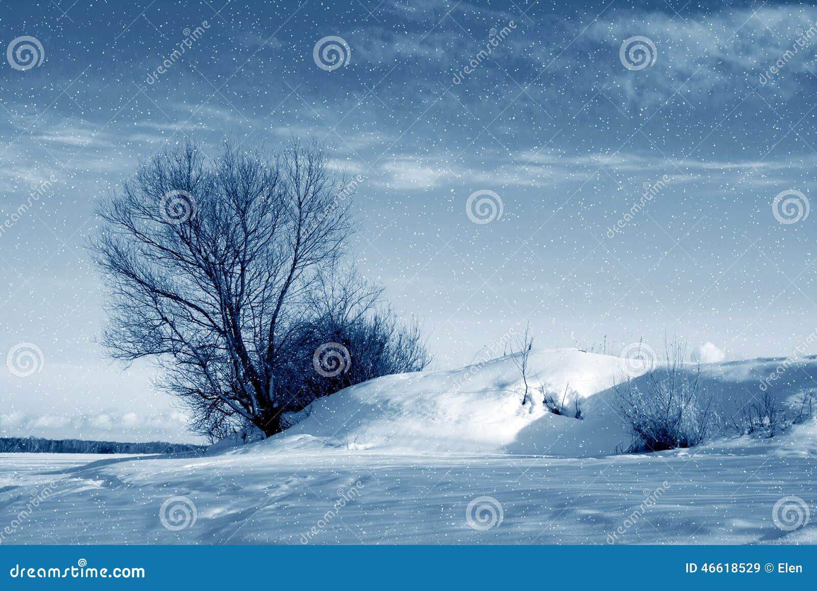 Winter nature, snowstorm stock image. Image of nature - 46618529