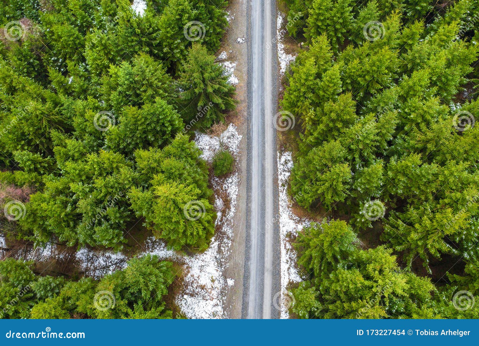 Winter Needle Forest with a Path in the Middle from Above Stock Photo ...