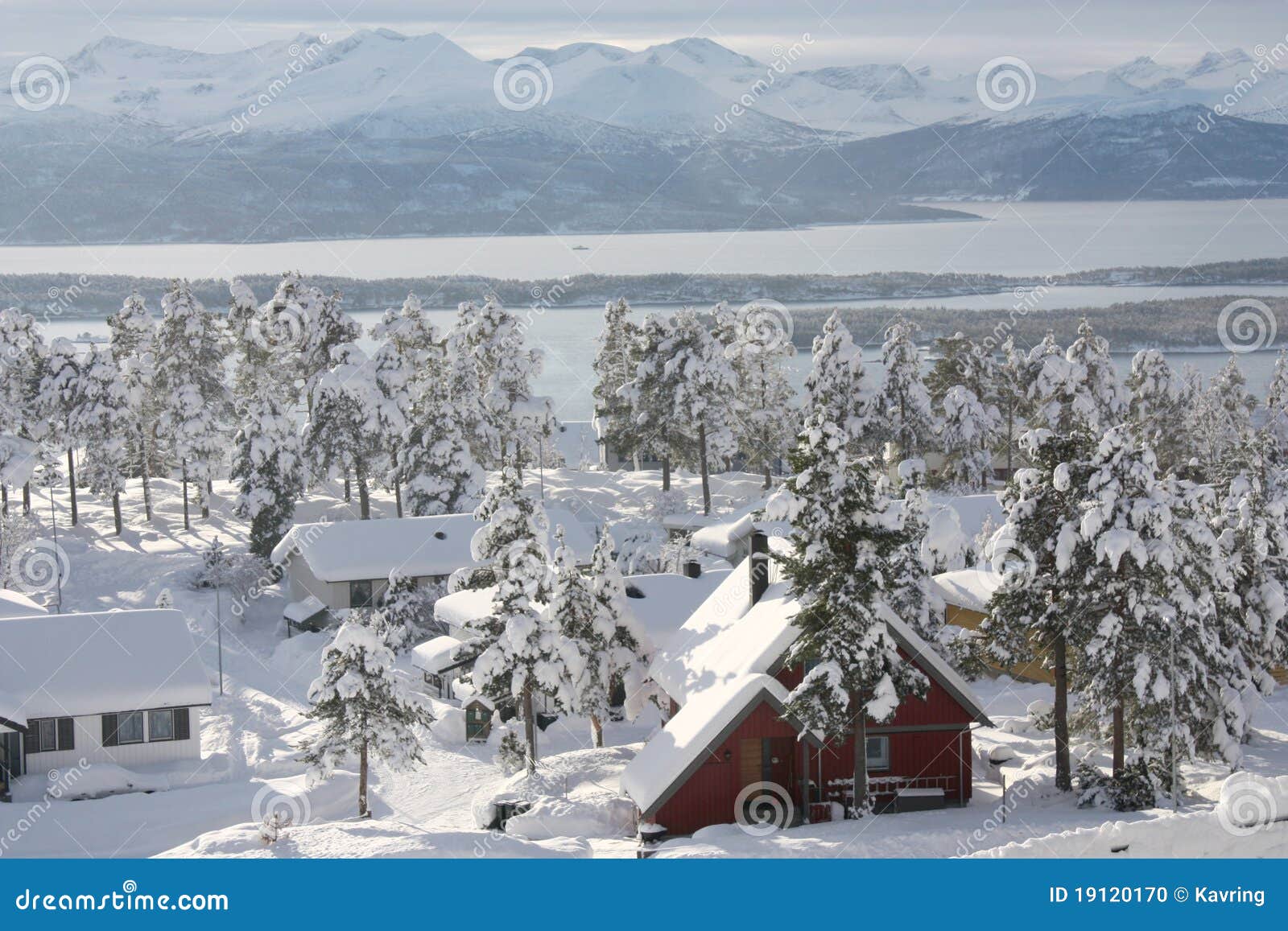 Winter neighborhood stock photo. Image of clean, neighbourhood - 19120170