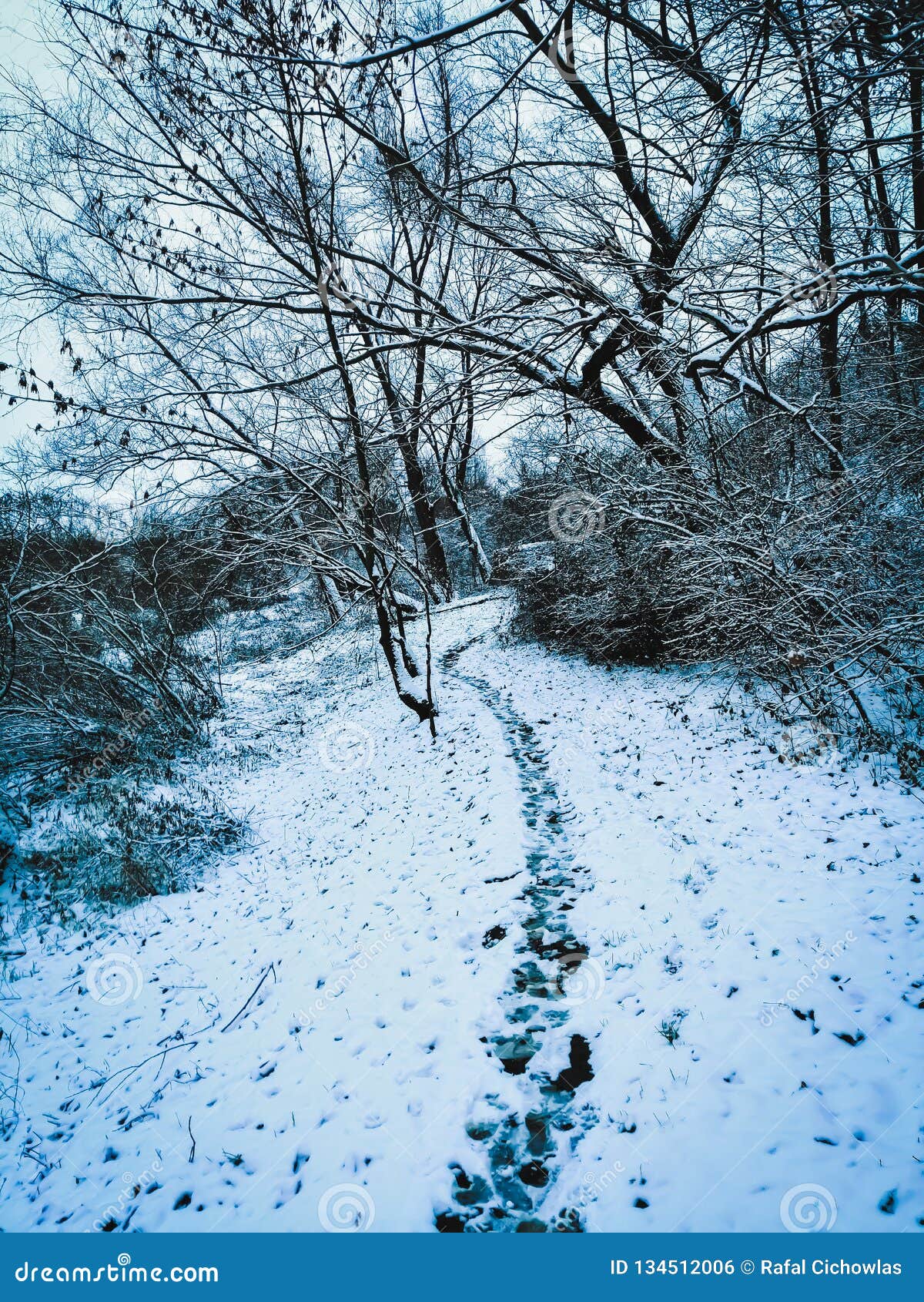 Winter stock photo. Image of nature, poland, views, nice - 134512006
