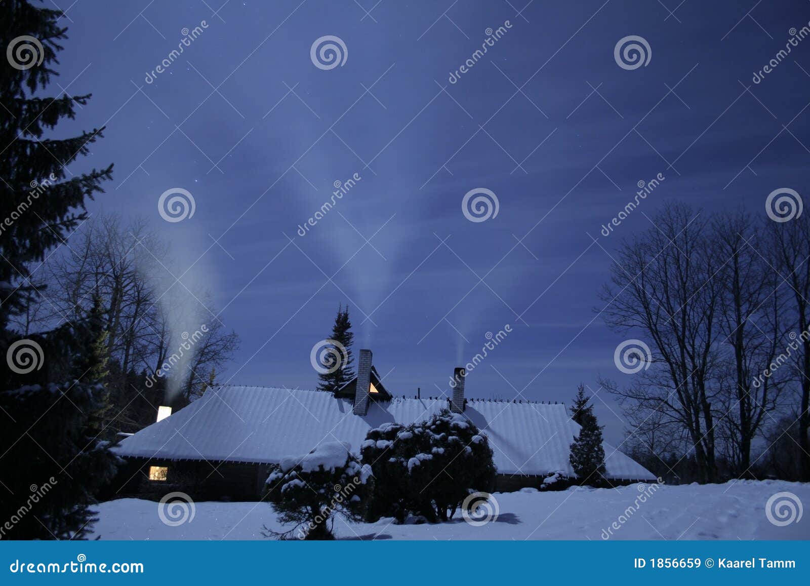Winter night stock image. Image of space, solitude, season - 1856659