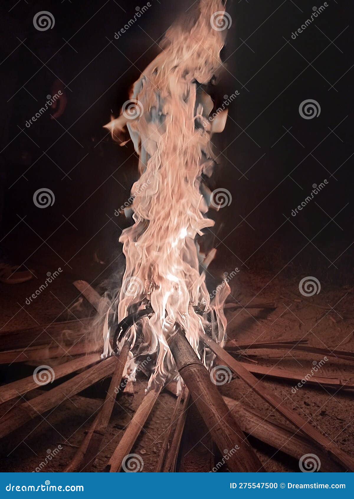 Winter Night Bamboo Fire Field Stock Photo - Image of fire, night ...