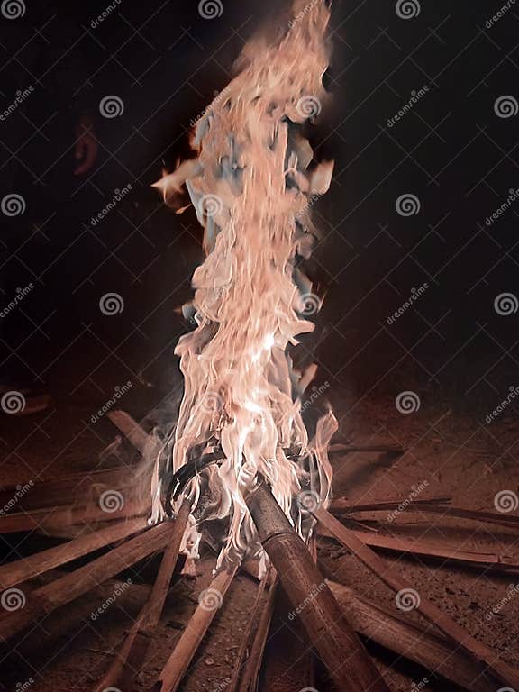 Winter Night Bamboo Fire Field Stock Photo - Image of fire, night ...