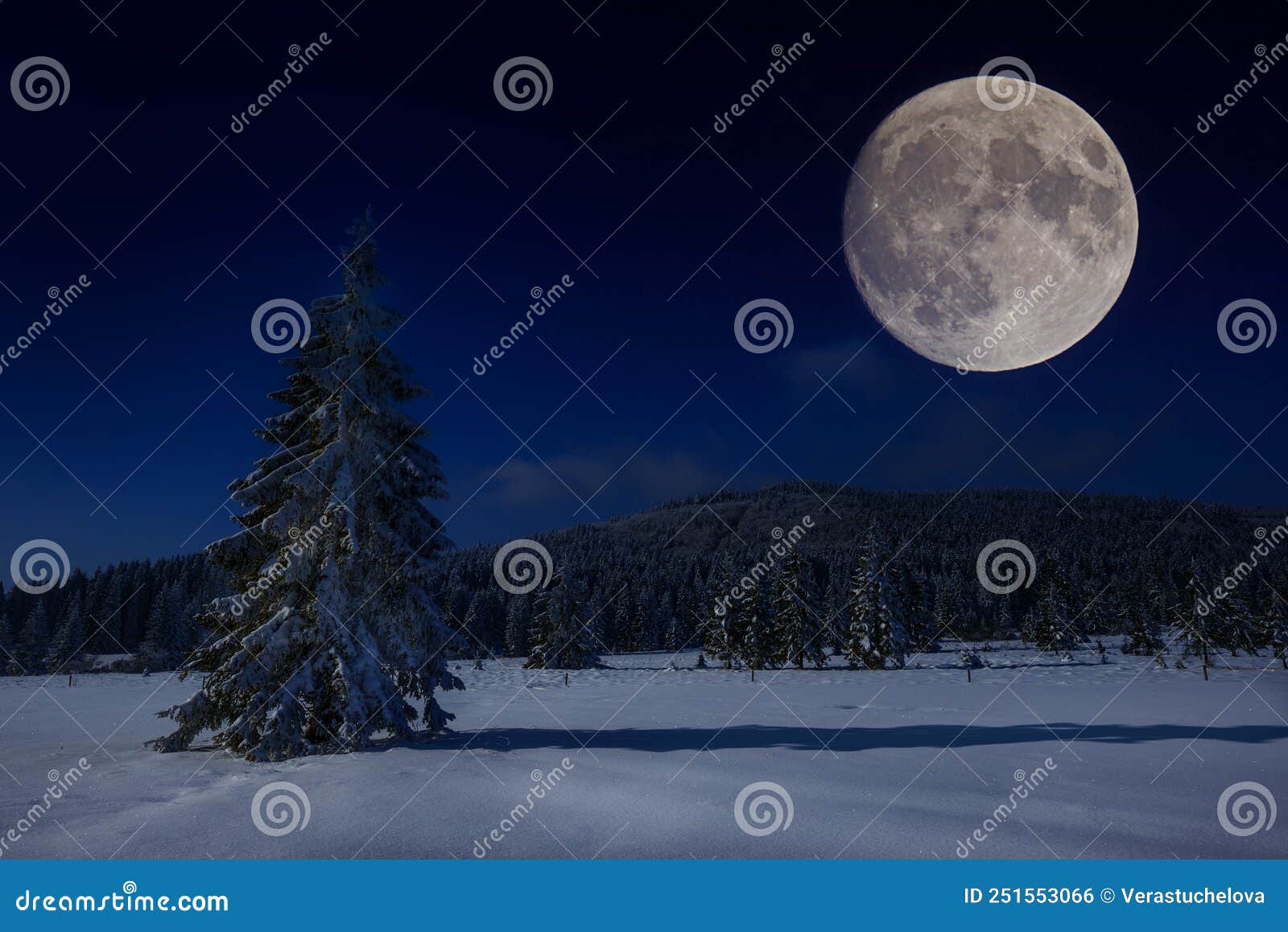The Winter Night with Big Moon Stock Photo - Image of cosmos, frosty ...