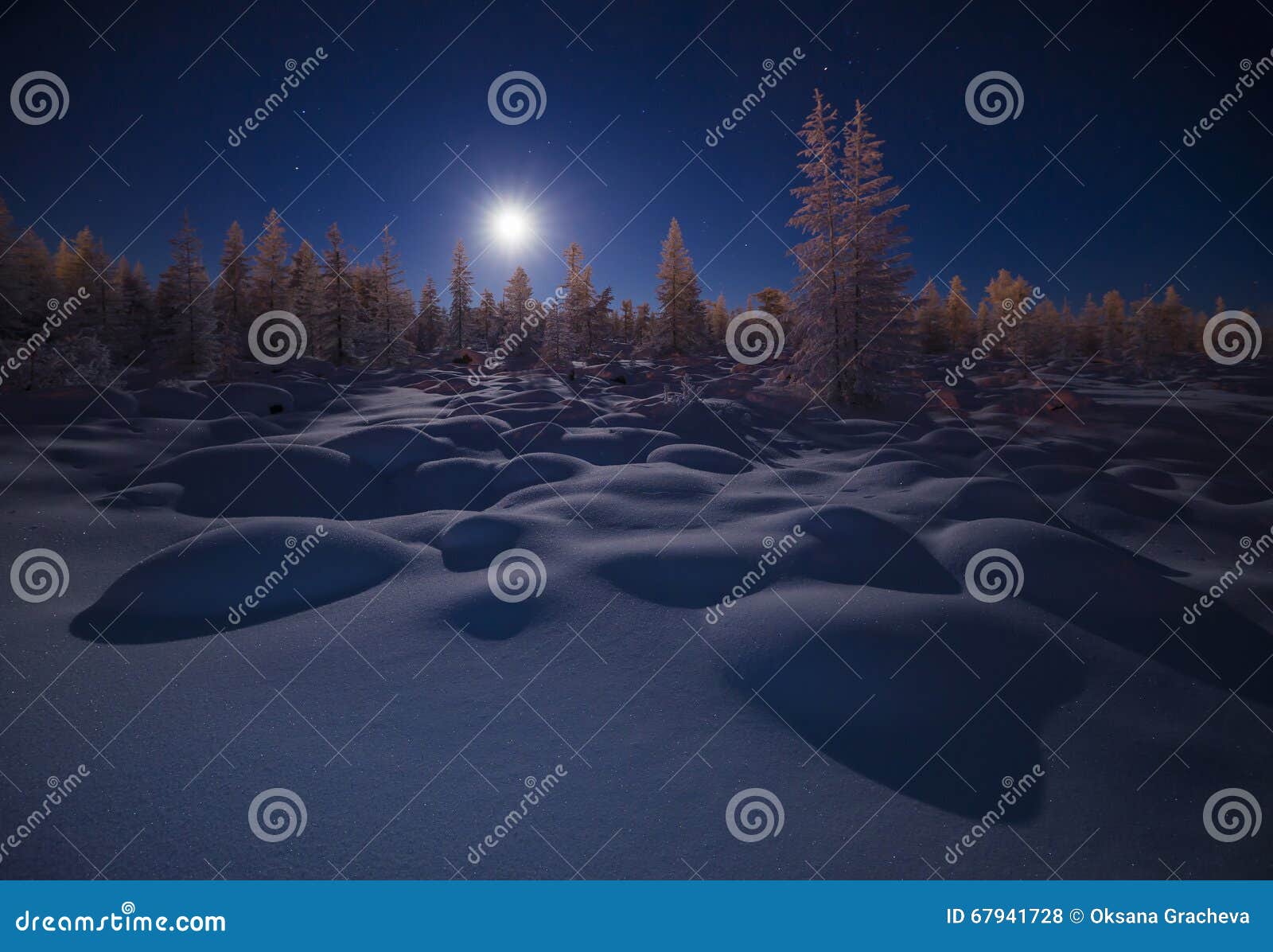 Winter Night Landscape with Forest, Moon and Cliffs Under the Snow ...