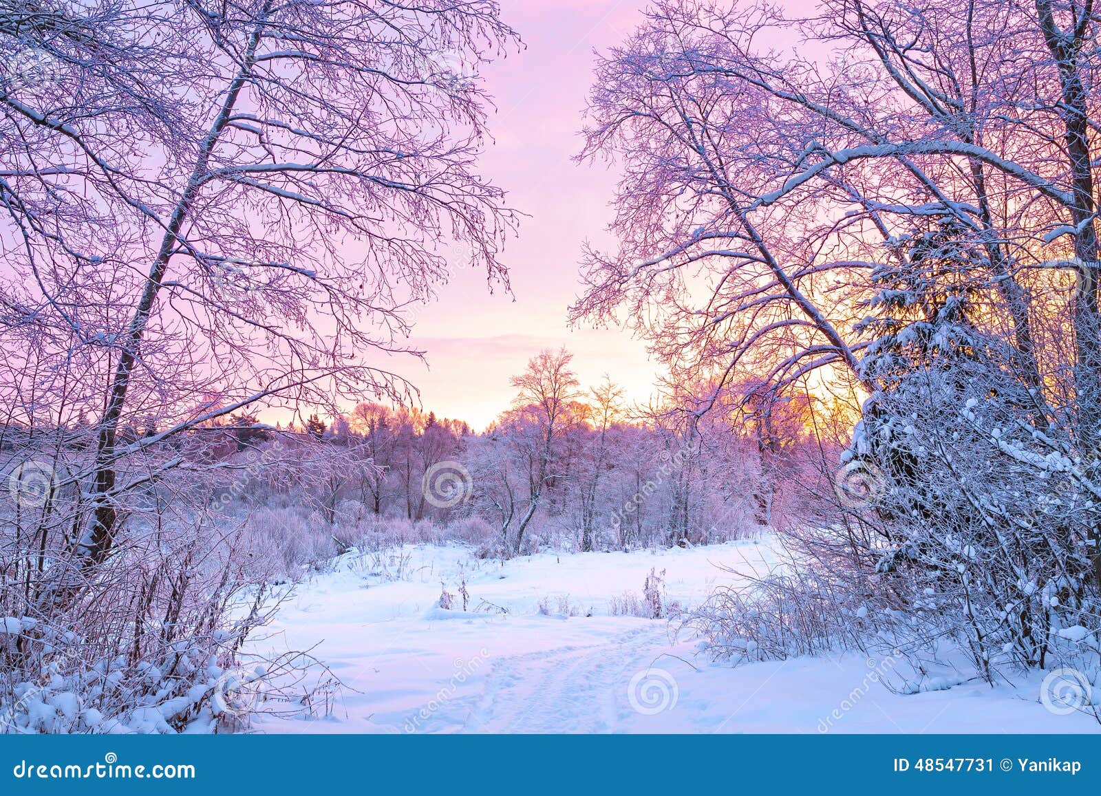 Winter Night Landscape with Sunset in the Forest Stock Image - Image of ...