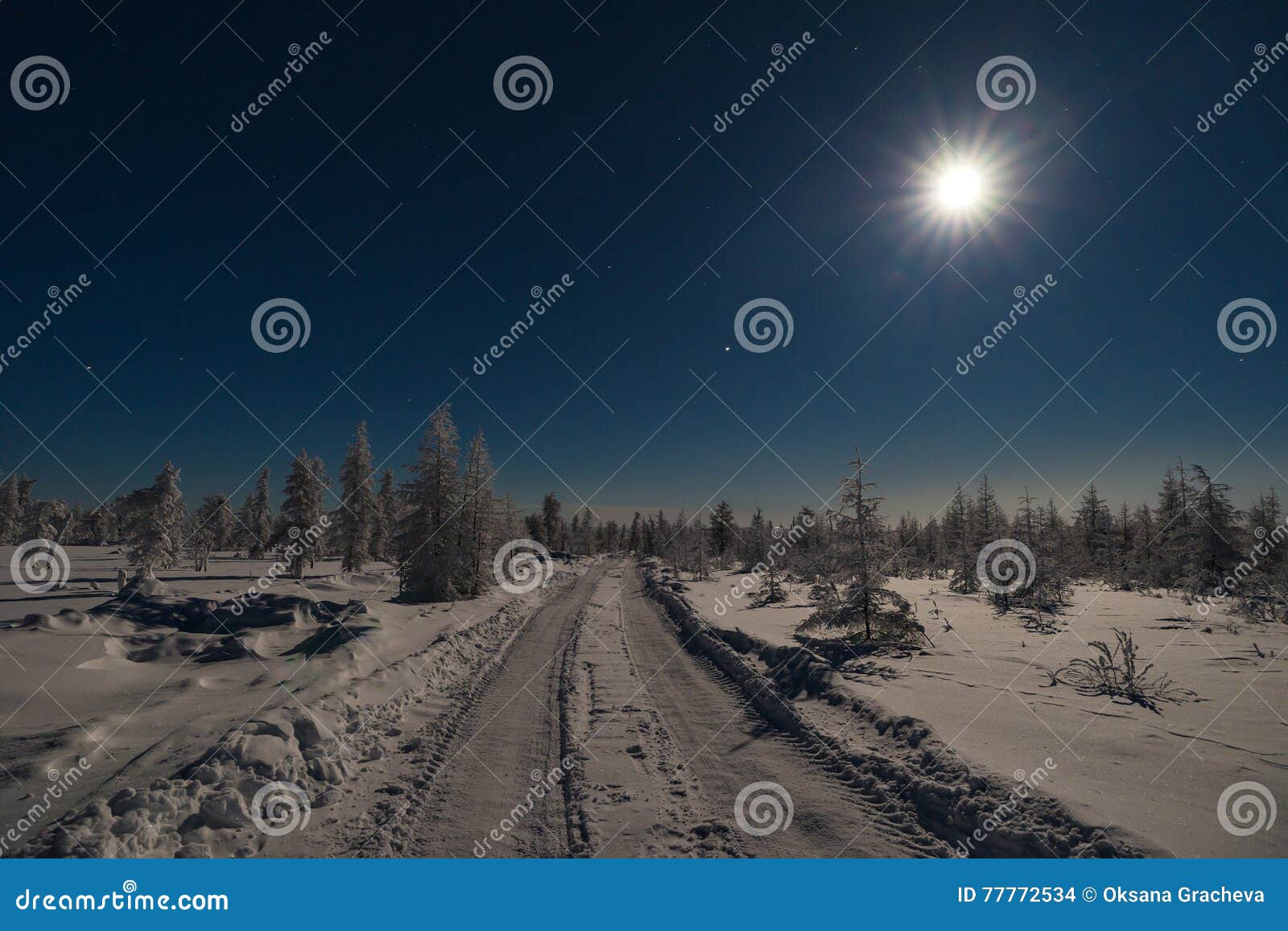 Winter Night Landscape with Trees, Road and Snow. Stock Photo - Image ...