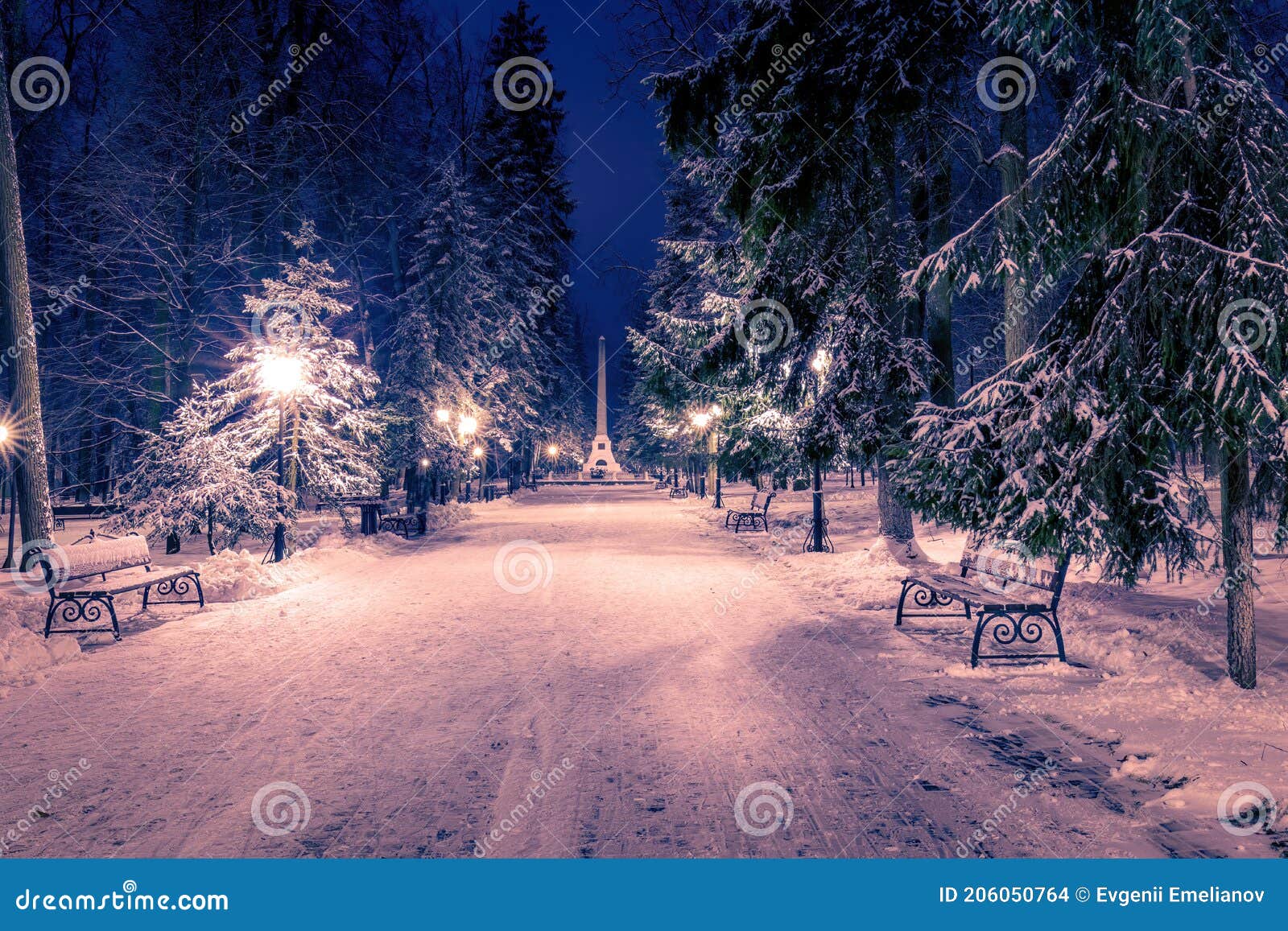 Winter Night Park with Lanterns, Benches and Trees Covered with a Snow ...