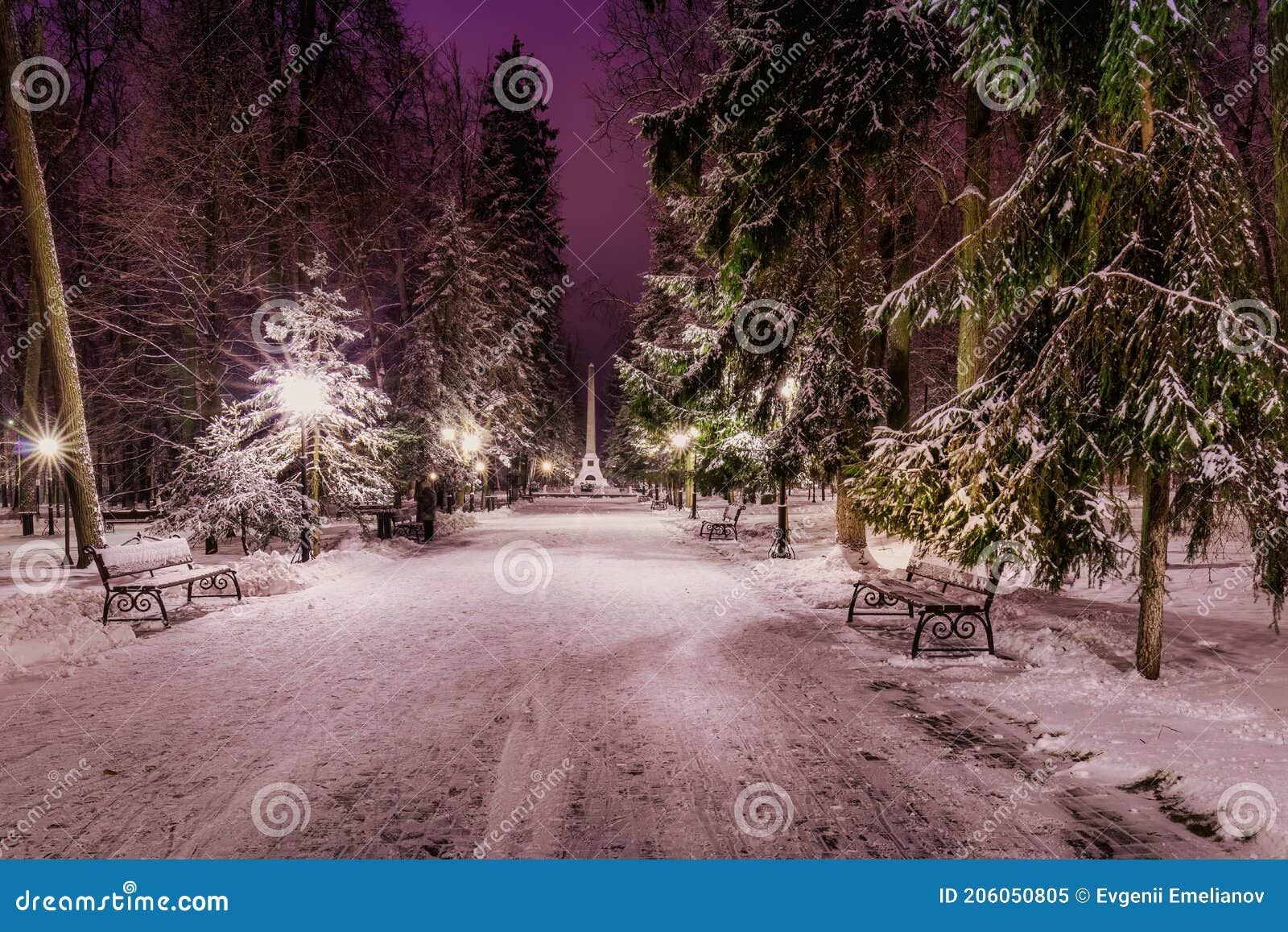 Winter Night Park with Lanterns, Benches and Trees Covered with a Snow ...