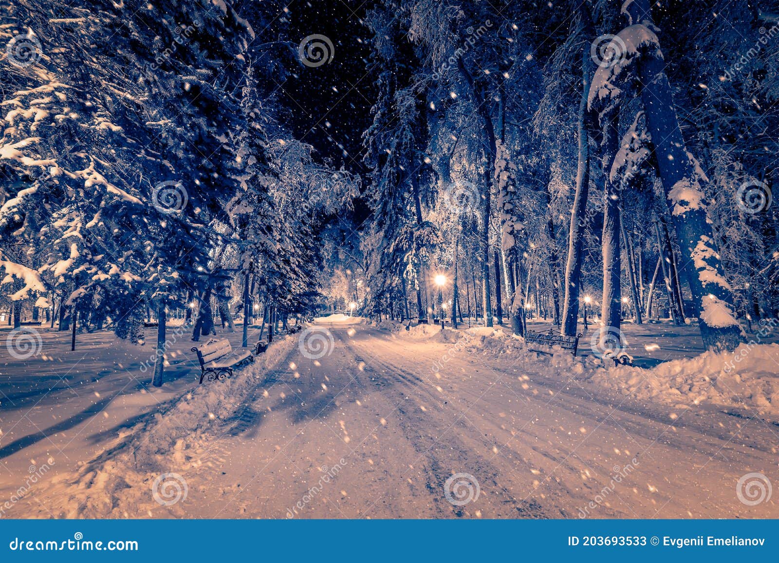Winter Night Park with Lanterns, Pavement and Trees Covered with Snow ...