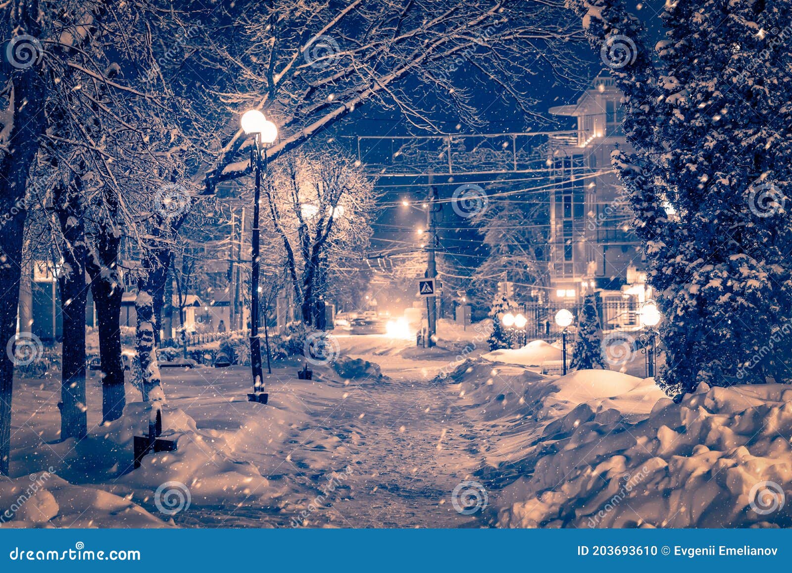 Winter Night Park with Lanterns, Pavement and Trees Covered with Snow ...