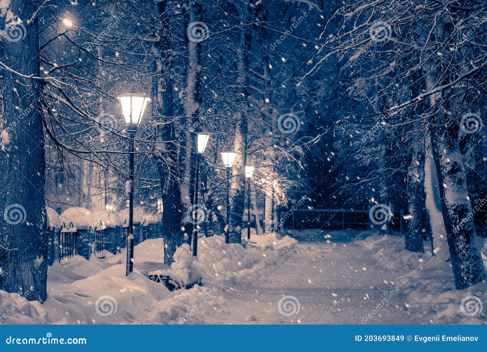 Winter Night Park with Lanterns, Pavement and Trees Covered with Snow ...
