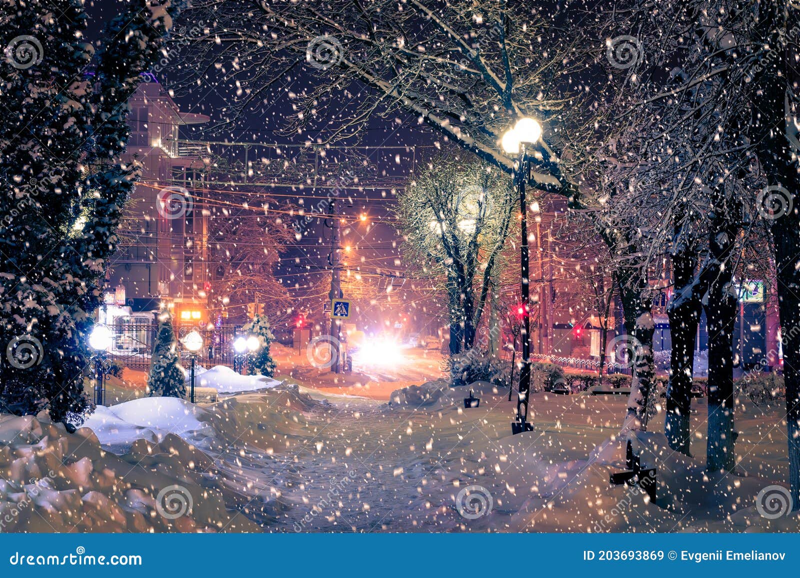 Winter Night Park with Lanterns, Pavement and Trees Covered with Snow ...