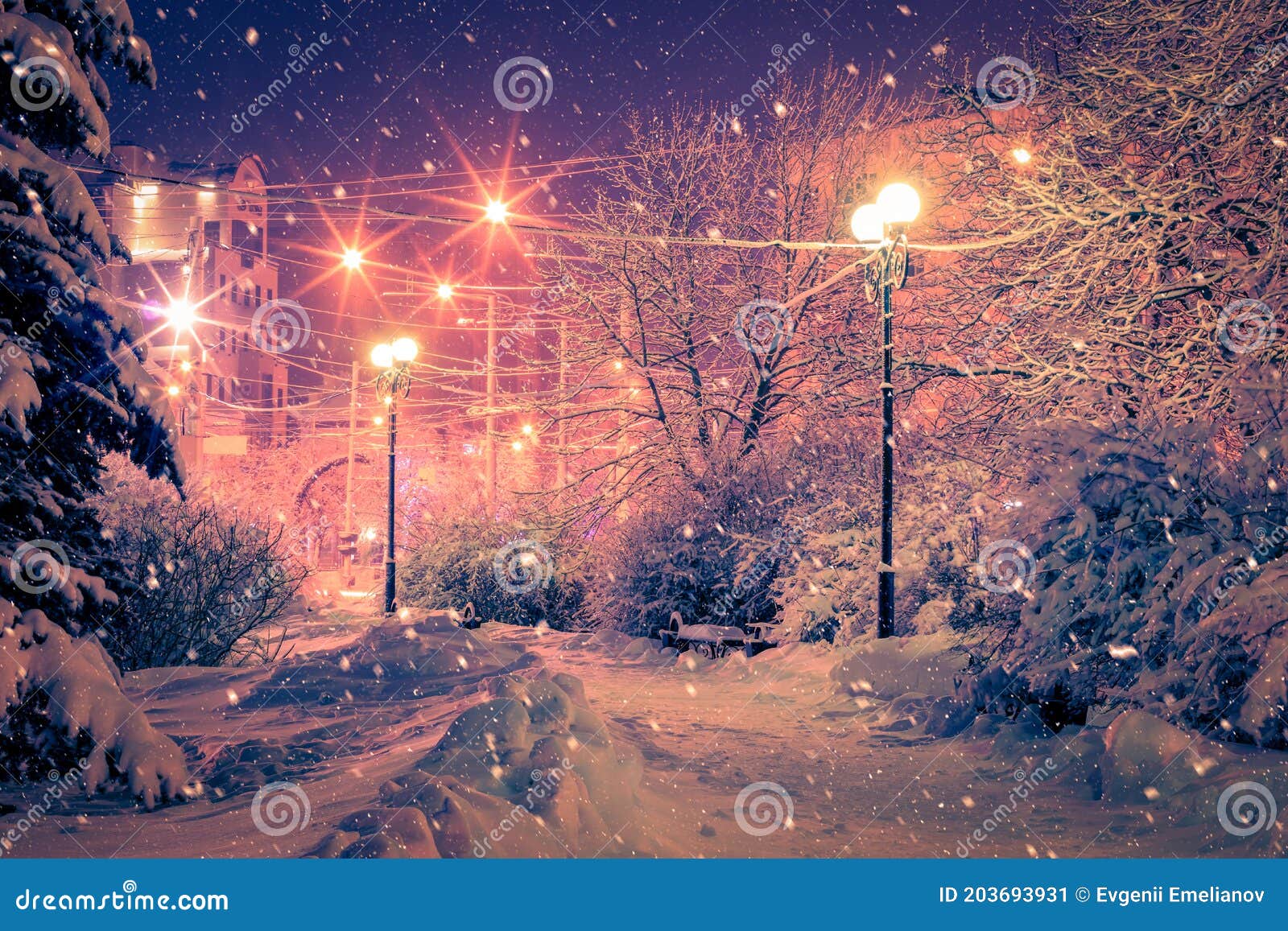 Winter Night Park with Lanterns, Pavement and Trees Covered with Snow ...