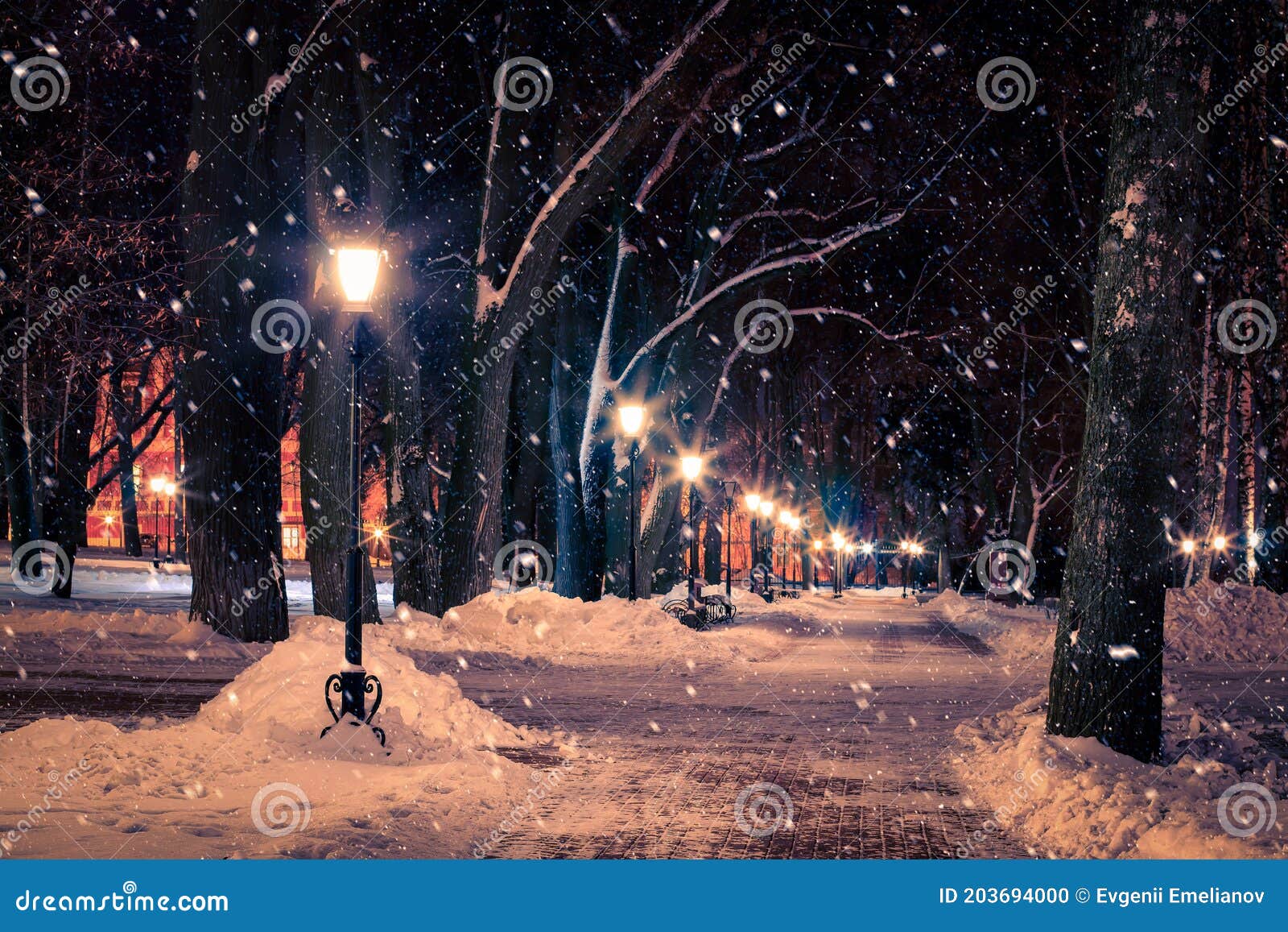 Winter Night Park with Lanterns, Pavement and Trees Covered with Snow ...
