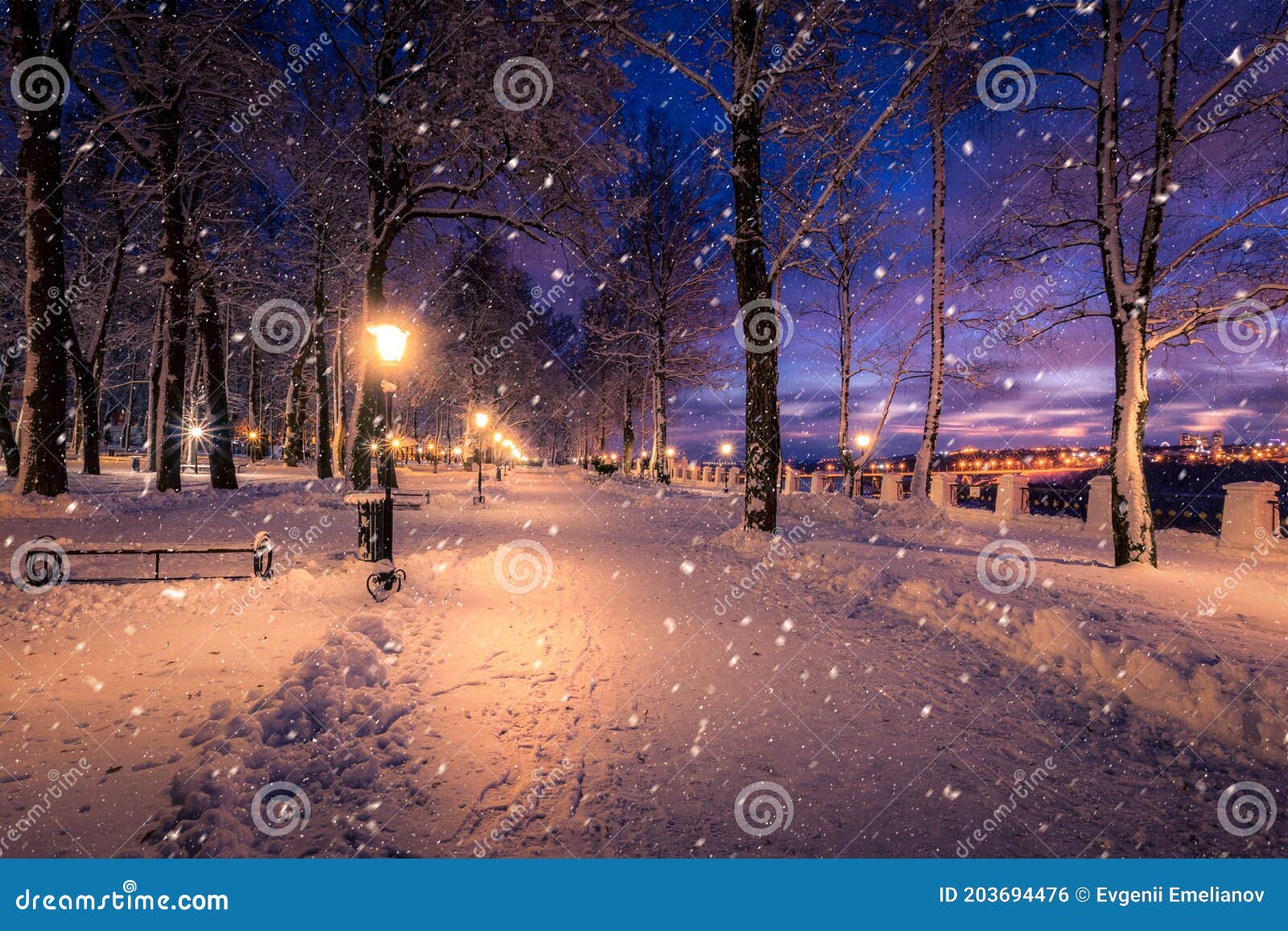 Winter Night Park with Lanterns, Pavement and Trees Covered with Snow ...