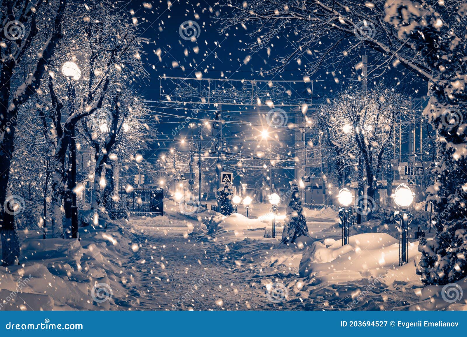 Winter Night Park with Lanterns, Pavement and Trees Covered with Snow ...