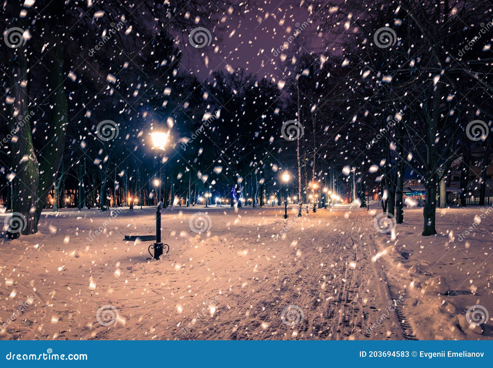 Winter Night Park with Lanterns, Pavement and Trees Covered with Snow ...