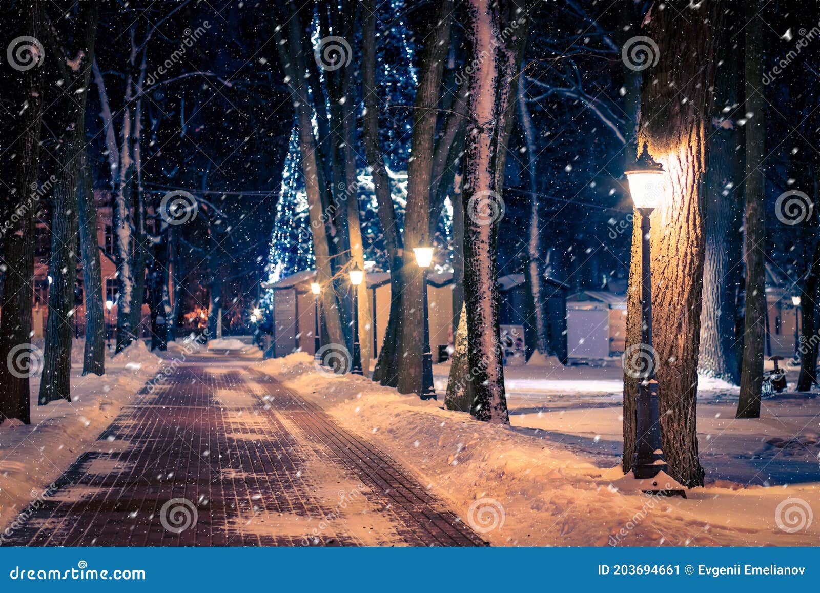 Winter Night Park with Lanterns, Pavement and Trees Covered with Snow ...