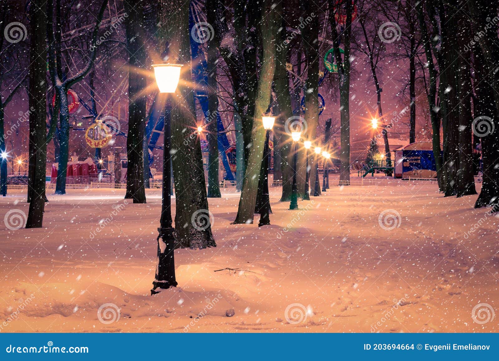 Winter Night Park with Lanterns, Pavement and Trees Covered with Snow ...