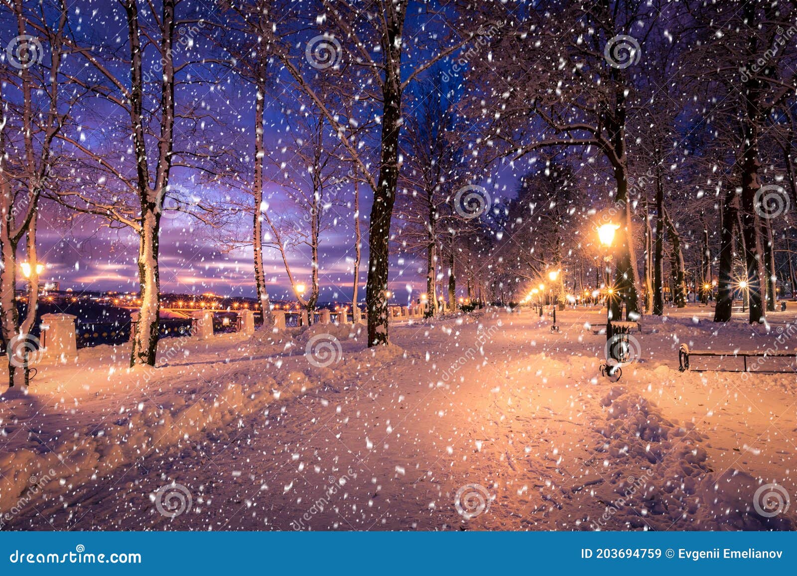 Winter Night Park with Lanterns, Pavement and Trees Covered with Snow ...