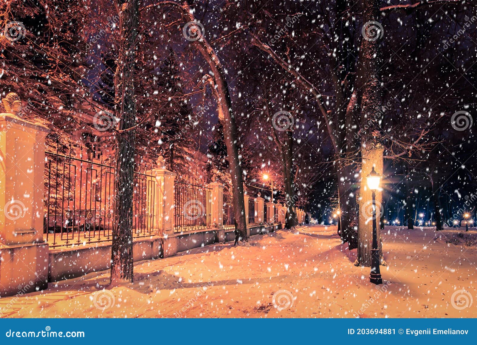 Winter Night Park with Lanterns, Pavement and Trees Covered with Snow ...