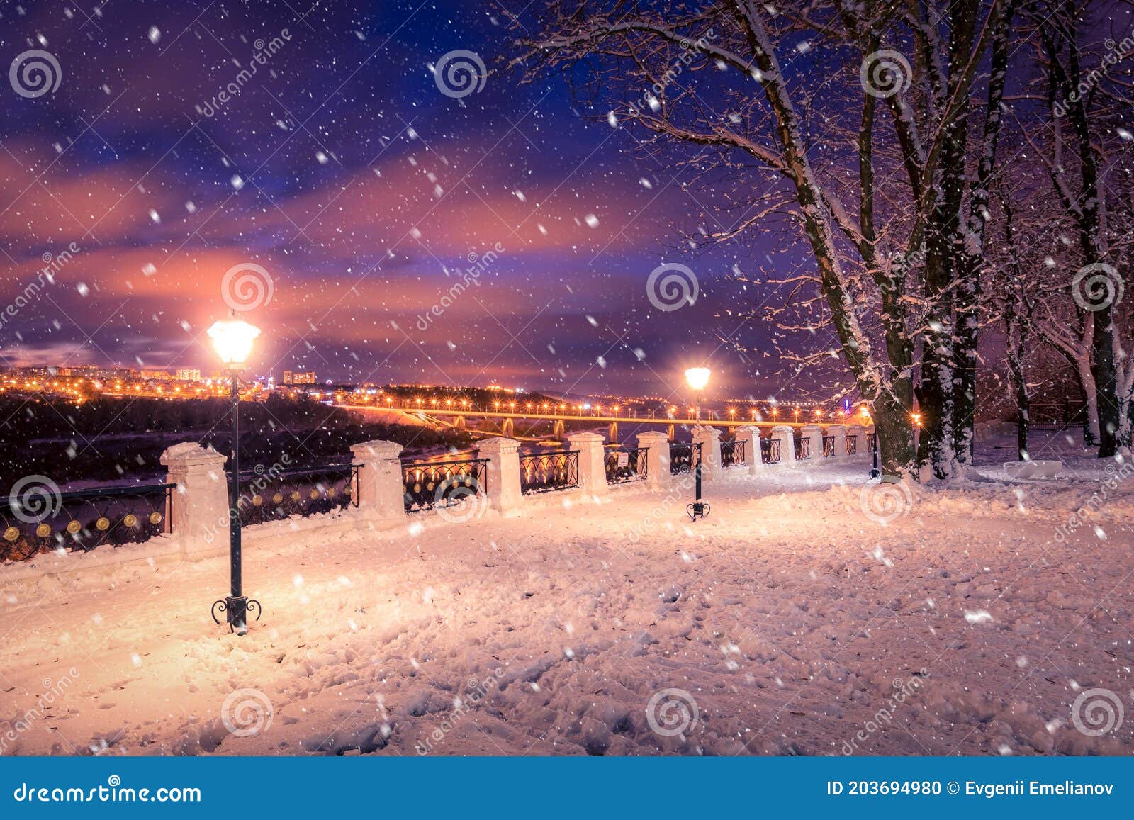 Winter Night Park with Lanterns, Pavement and Trees Covered with Snow ...