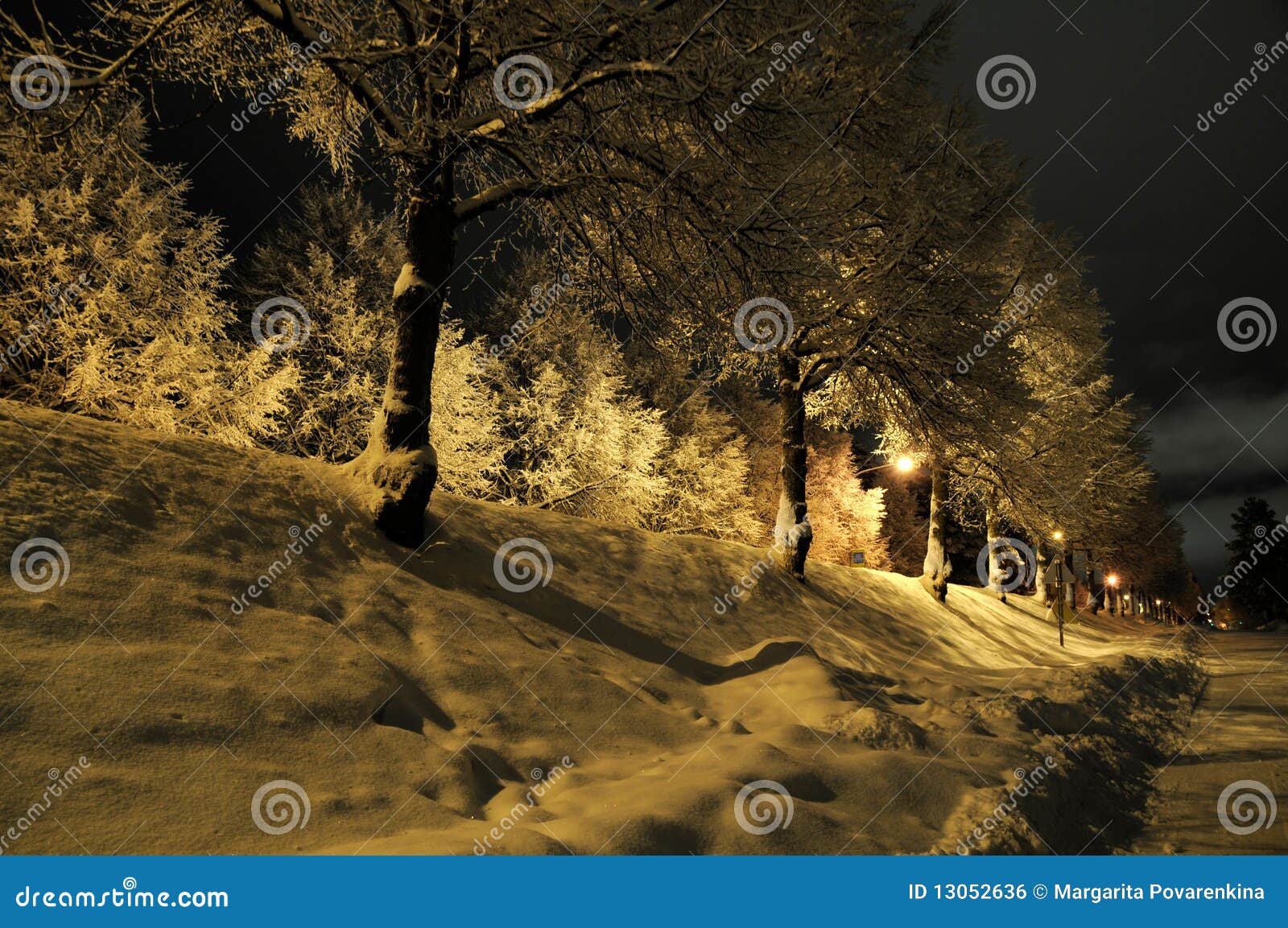 Winter night road stock photo. Image of cold, dark, mystery - 13052636