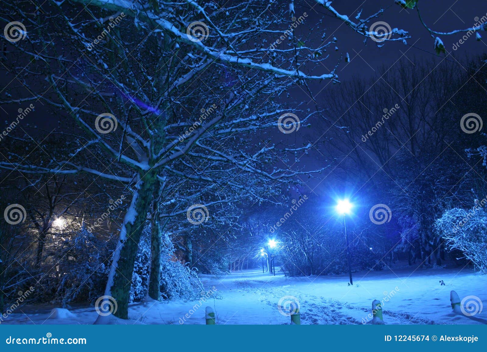 Winter night scene stock photo. Image of artistic, clear - 12245674
