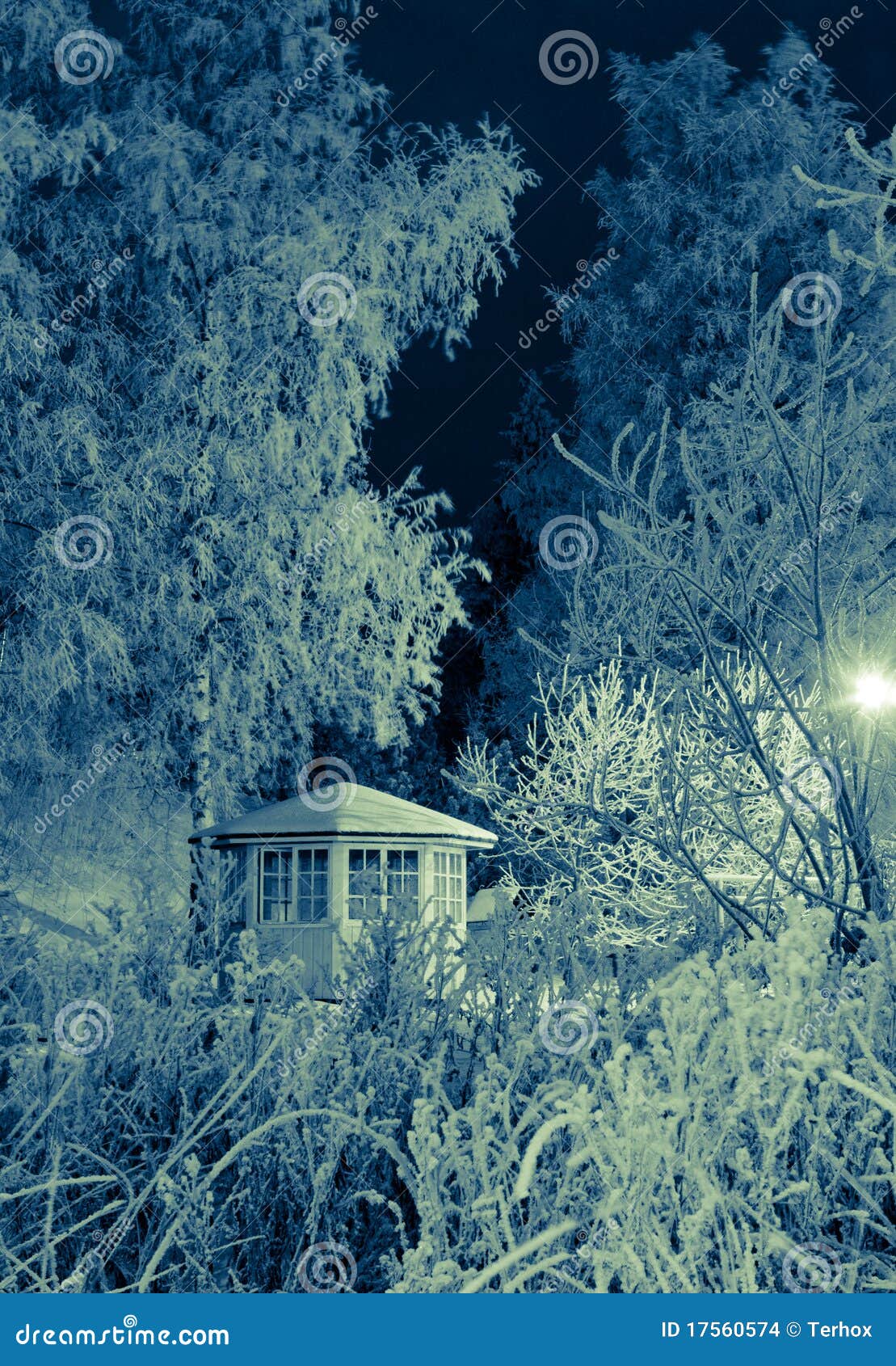 Winter night scene stock photo. Image of finland, night - 17560574