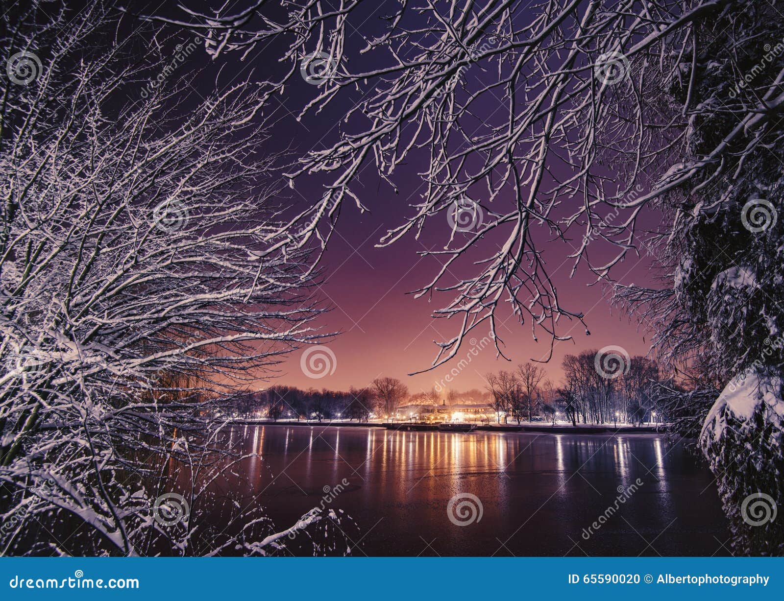 Winter night scene stock photo. Image of park, river - 65590020