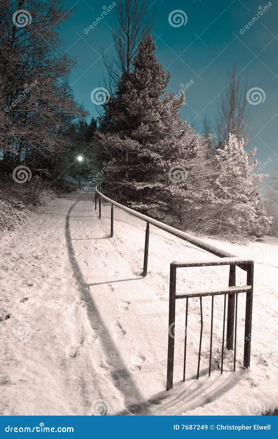 Winter Night Snow Scene stock image. Image of night, time - 7687249