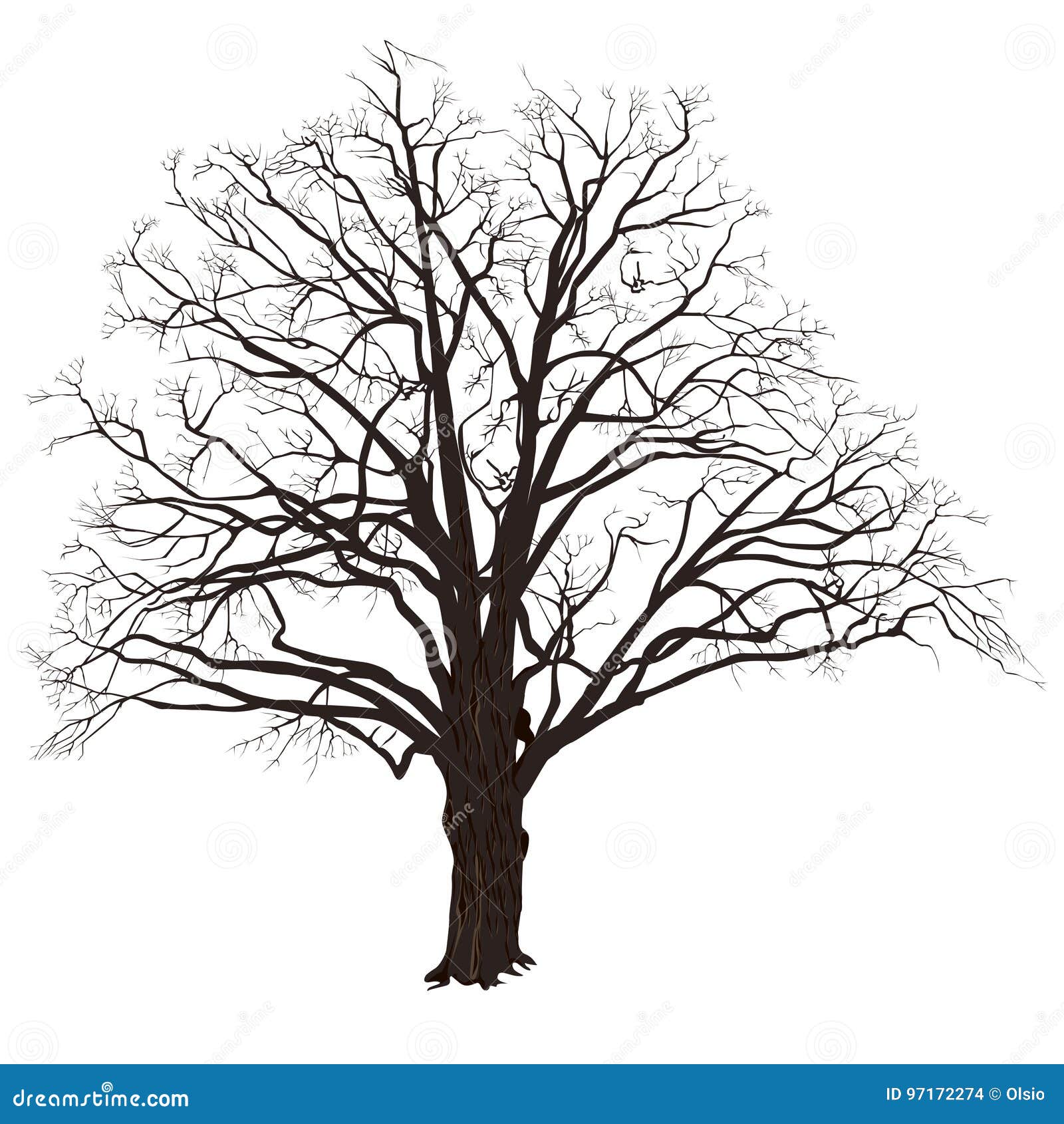Winter Oak with Fallen Leaves Stock Vector - Illustration of fresh ...