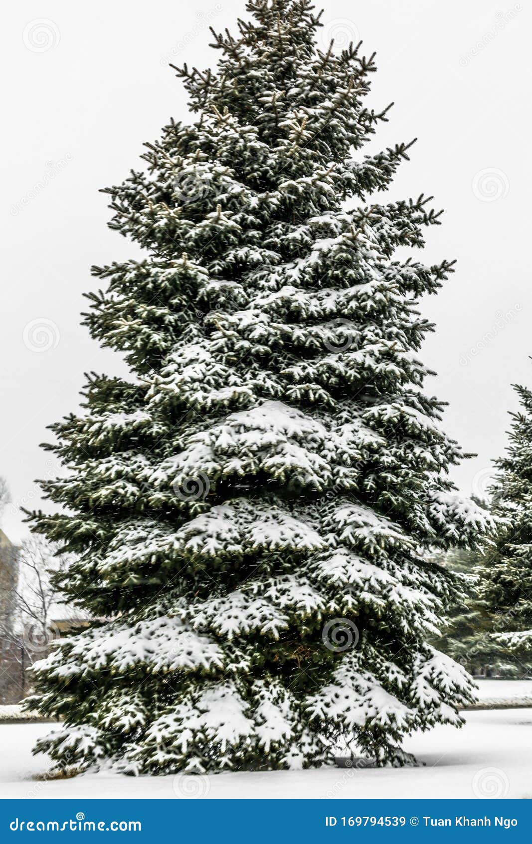 Winter in Ontario, Canada stock image. Image of area - 169794539