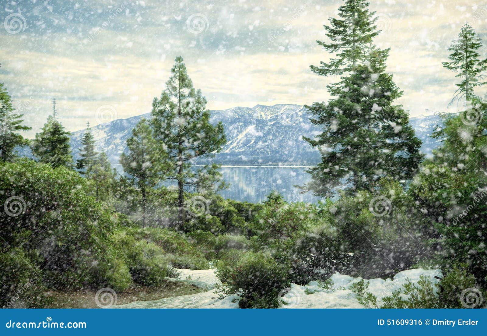 Winter outdoor stock photo. Image of landscape, december - 51609316