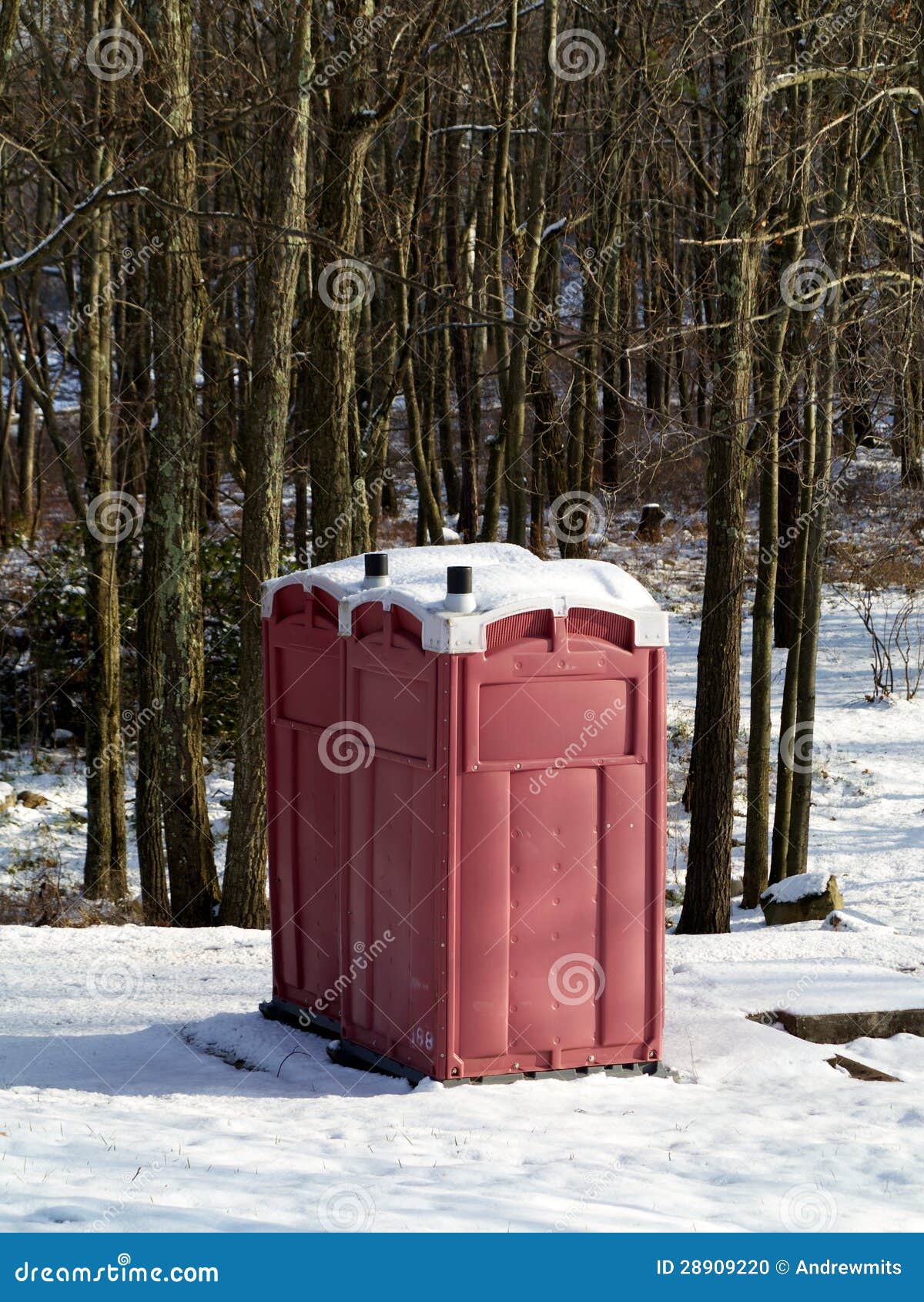 Winter Outhouse in the Woods Stock Photo - Image of lavatory, building ...