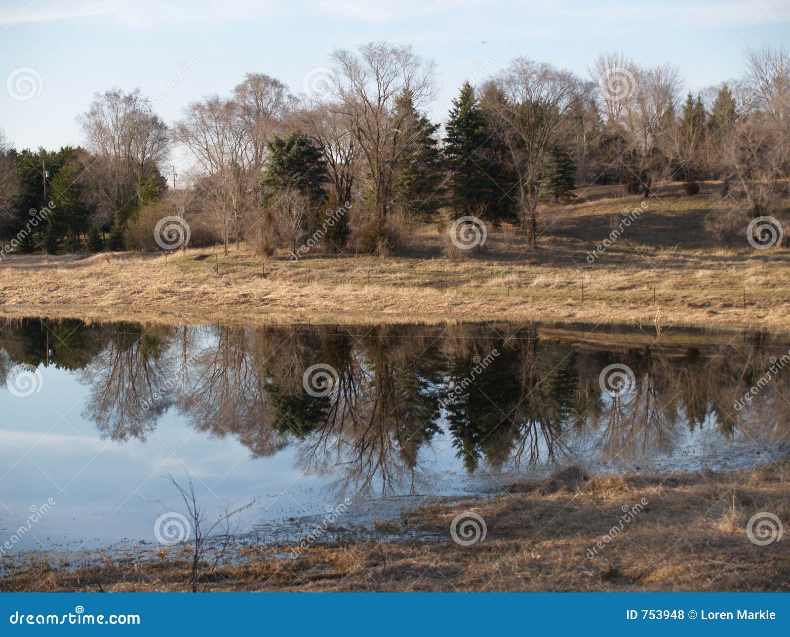 Winter is over stock photo. Image of marsh, blue, planting - 753948